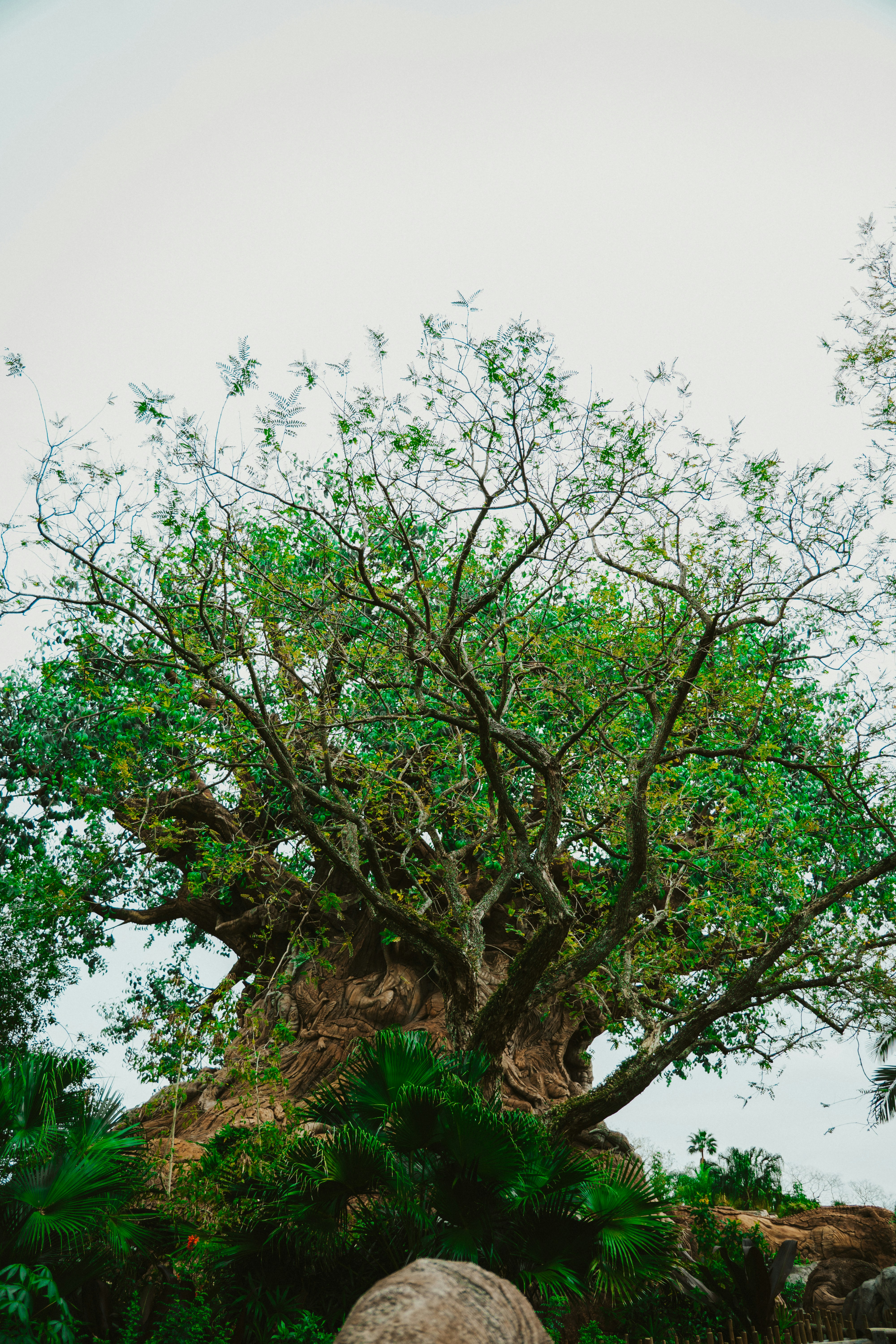 Photo by Nicholas Fuentes with Sony Alpha 6400