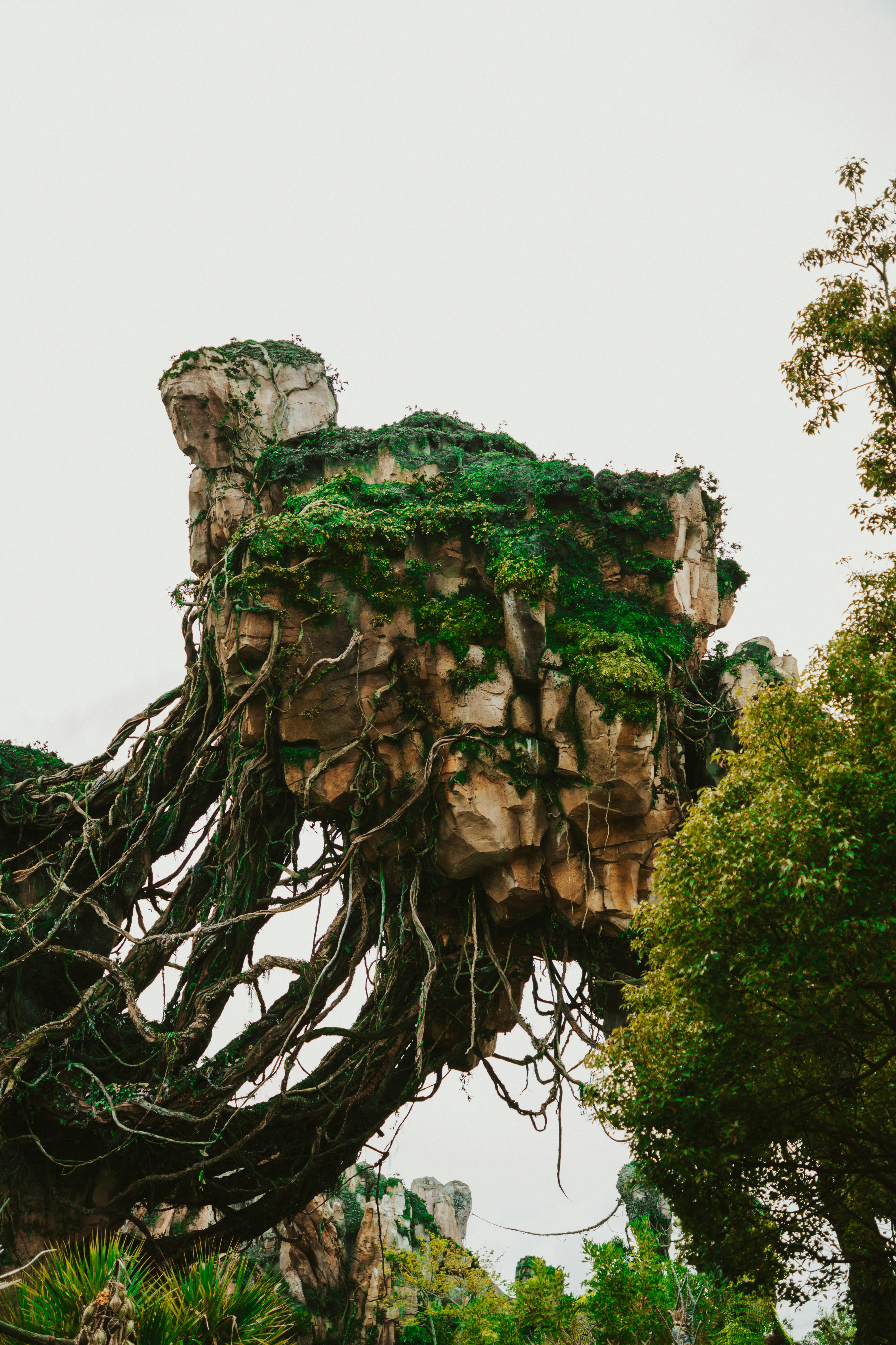 The Verdant Sentinel: vine-wrapped monolith rising above lush greenery