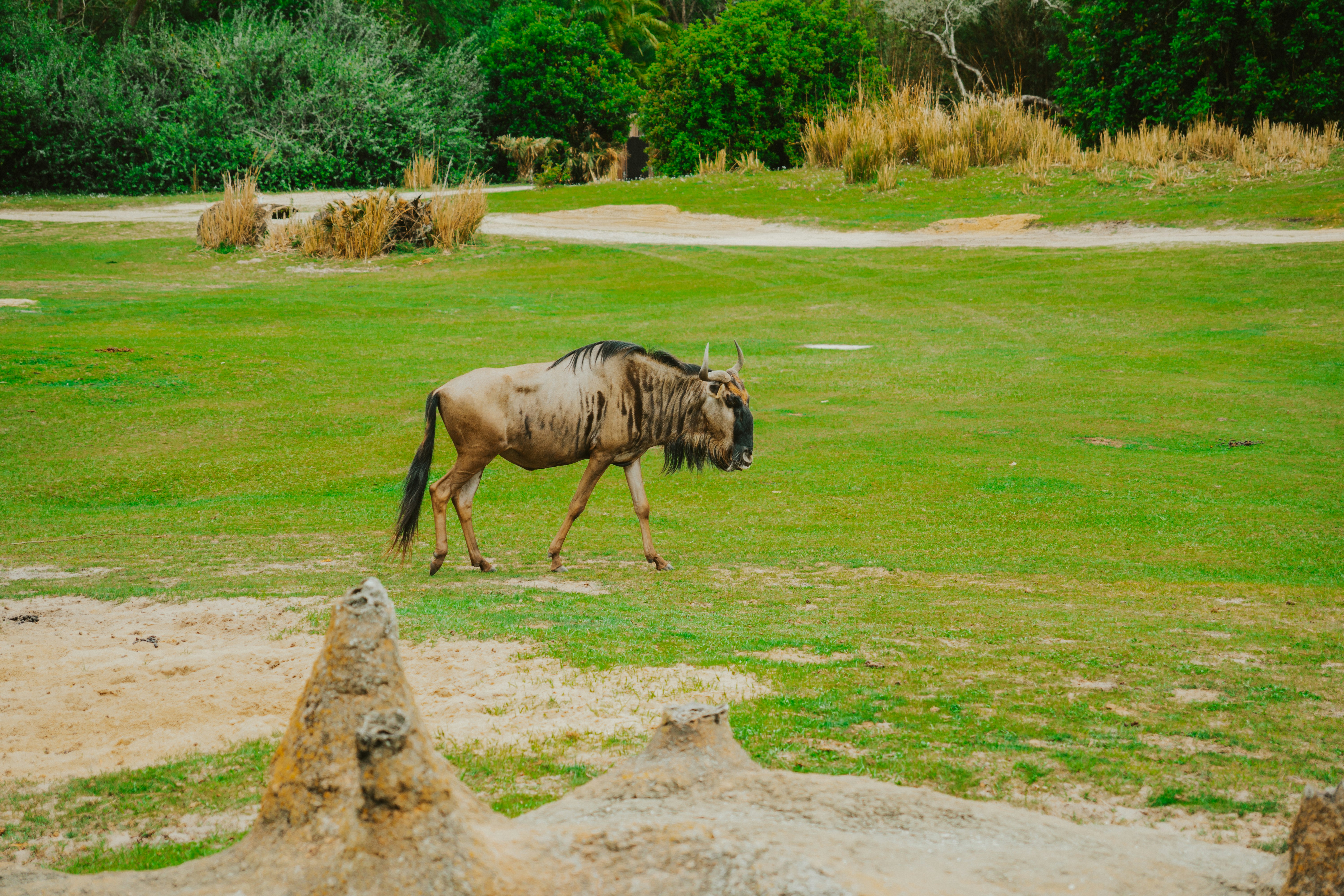 Photo by Nicholas Fuentes with Sony Alpha 6400