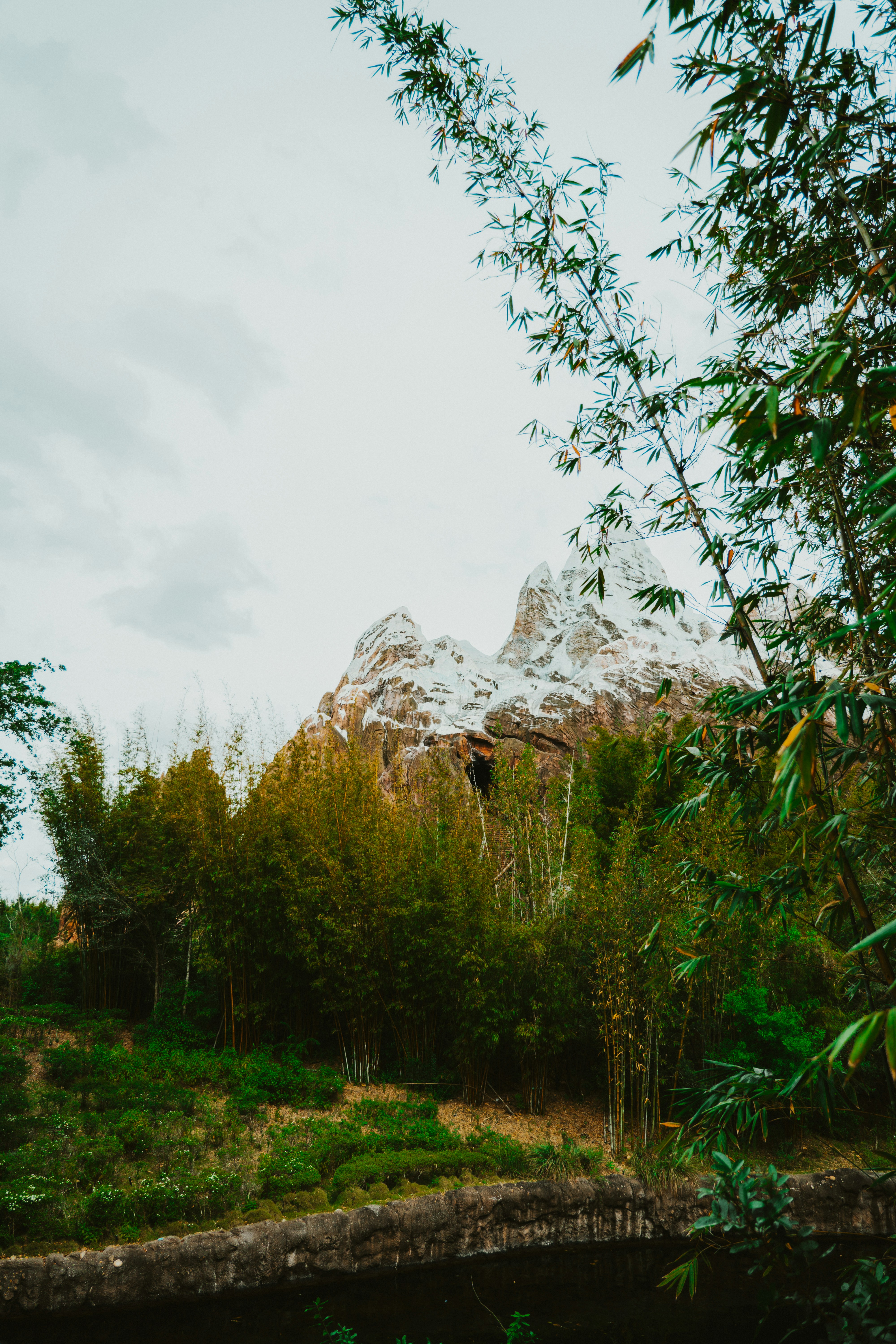 Snow-Kissed Peak Rising Over a Riverside Bamboo Grove