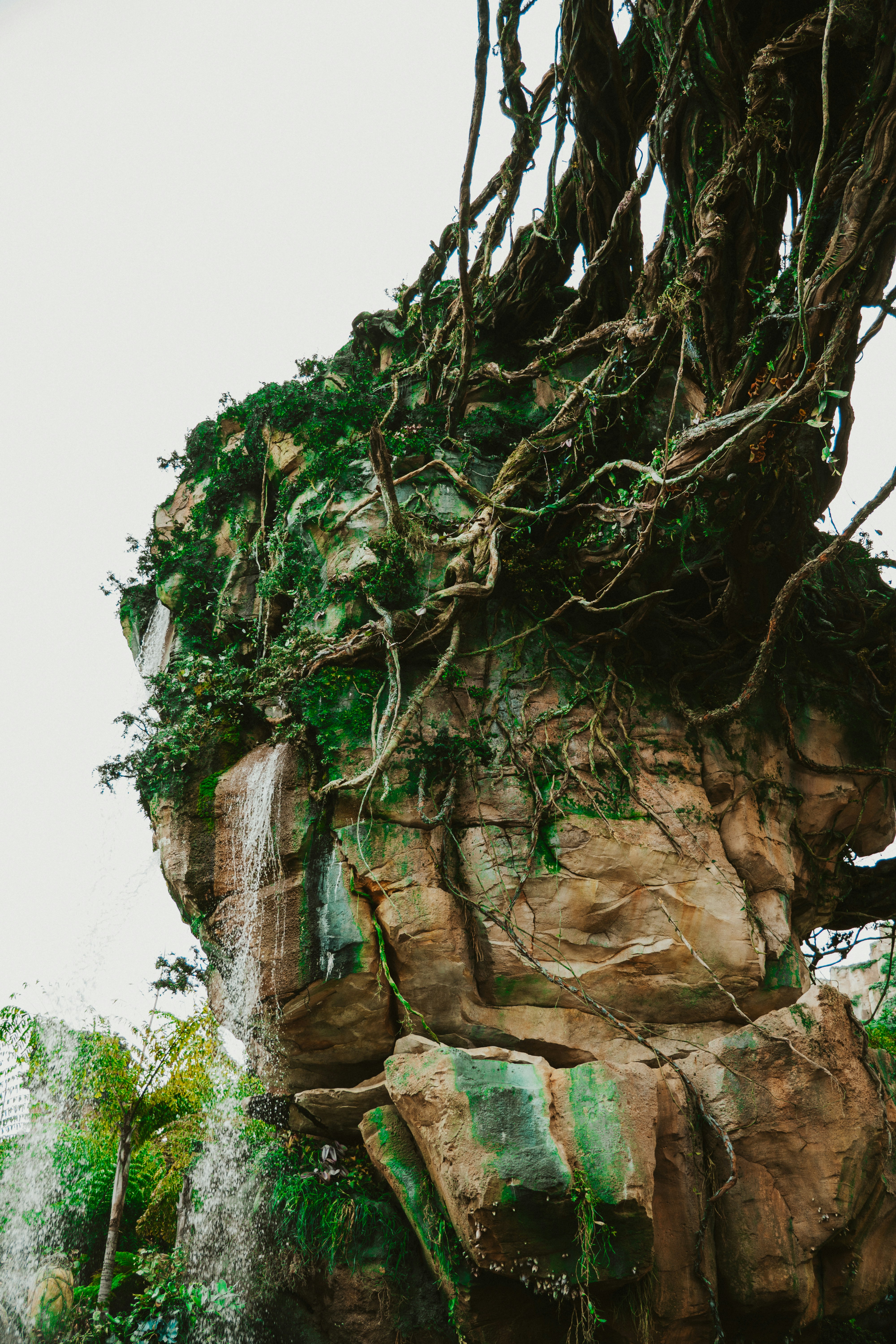 Photo by Nicholas Fuentes with Sony Alpha 6400