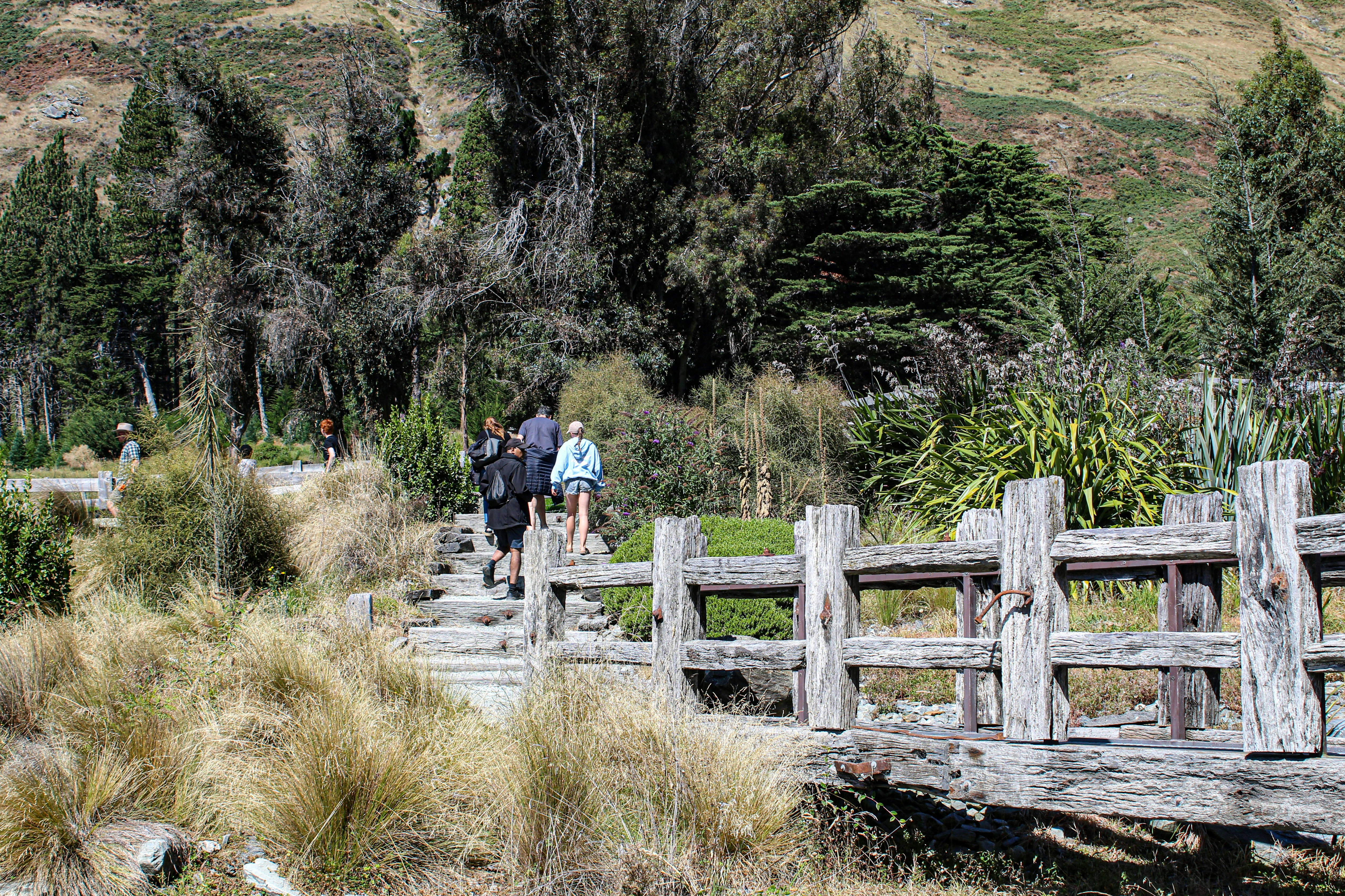 A group of people walking across a wooden bridge photo – Free Forest ...