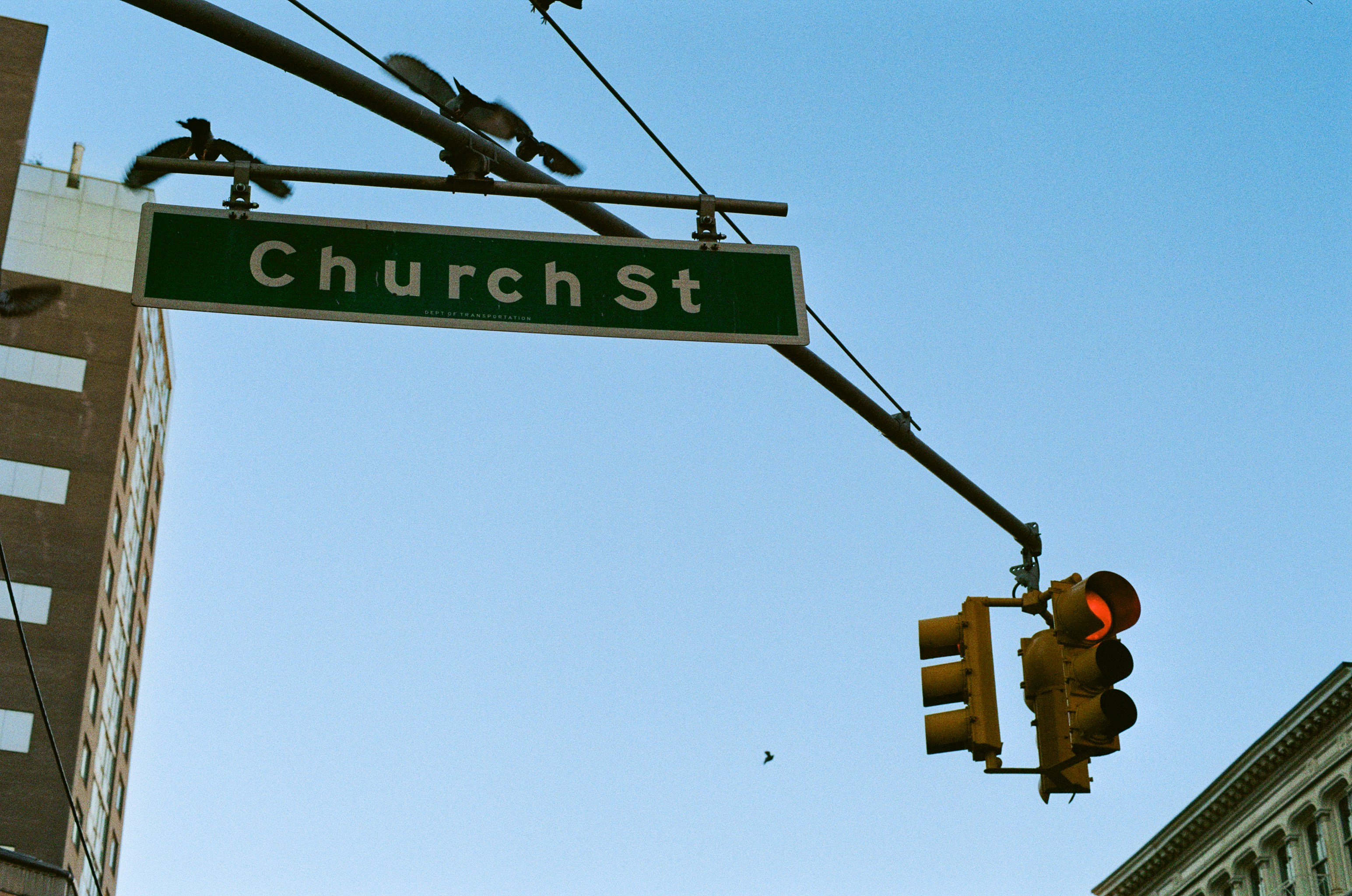 A green street sign hanging from a traffic light photo – Free Building ...