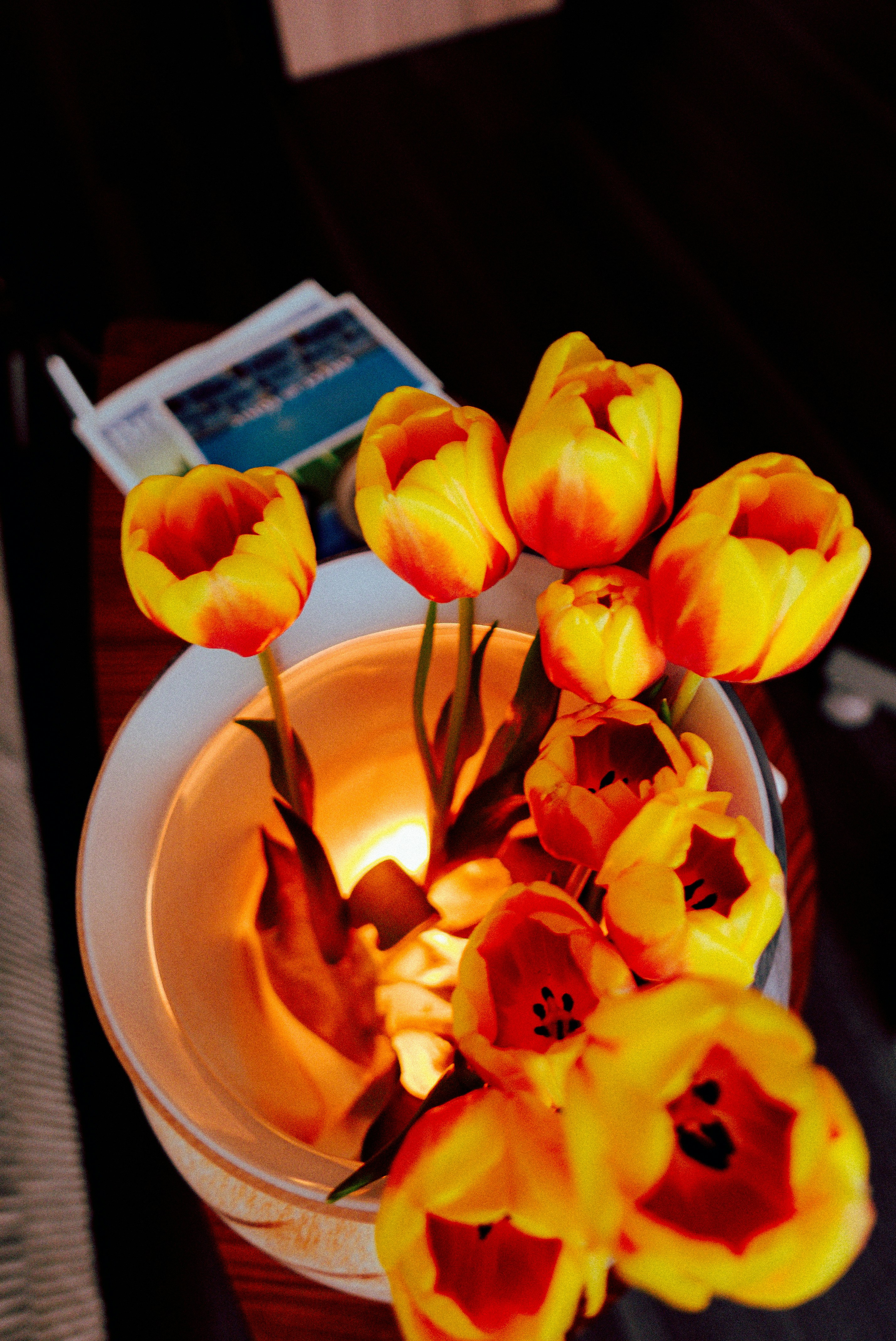 Candlelit Tulips in a White Bucket: Warmth in a Quiet Still Life
