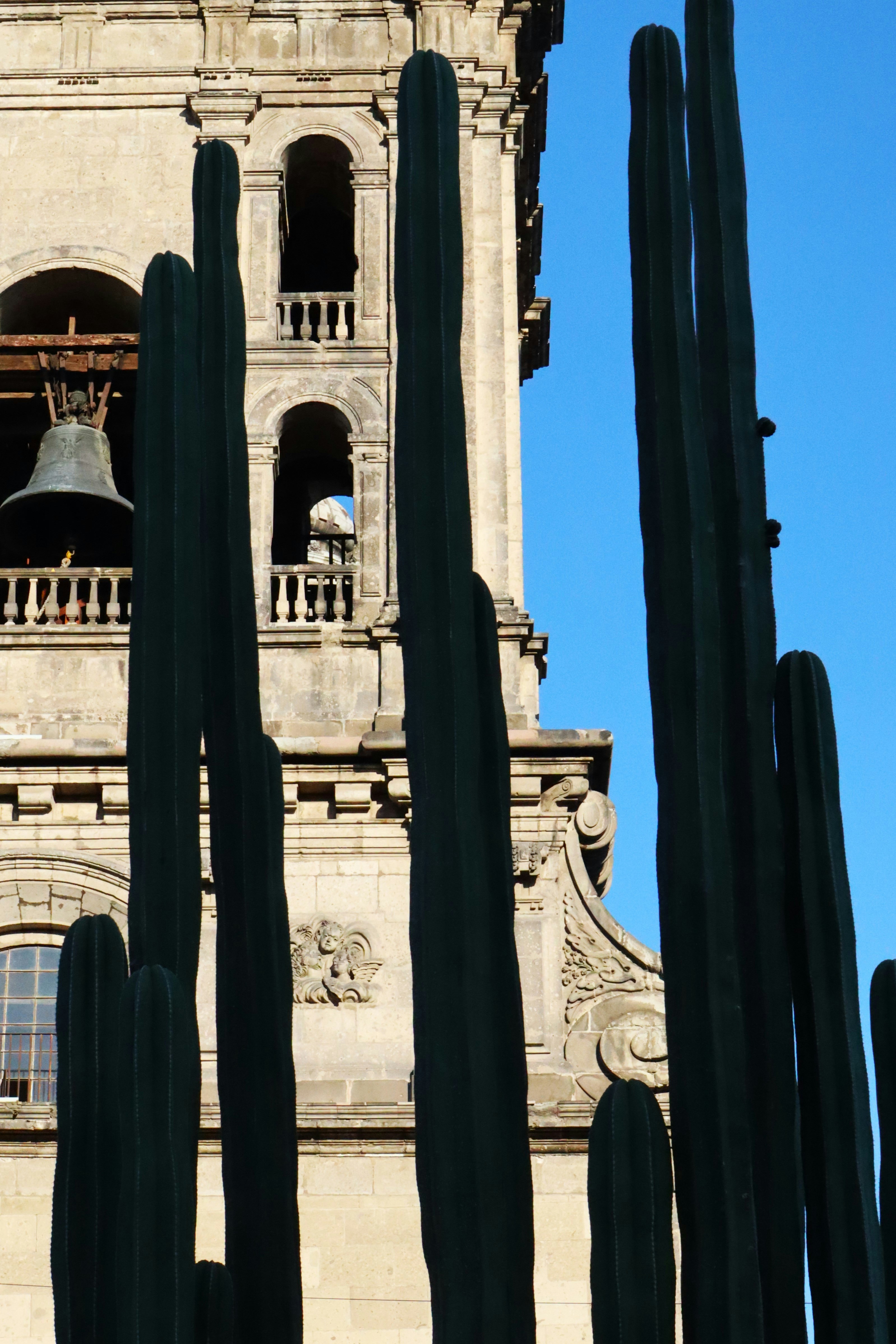Cacti Framing an Ancient Bell Tower Under a Clear Blue Sky