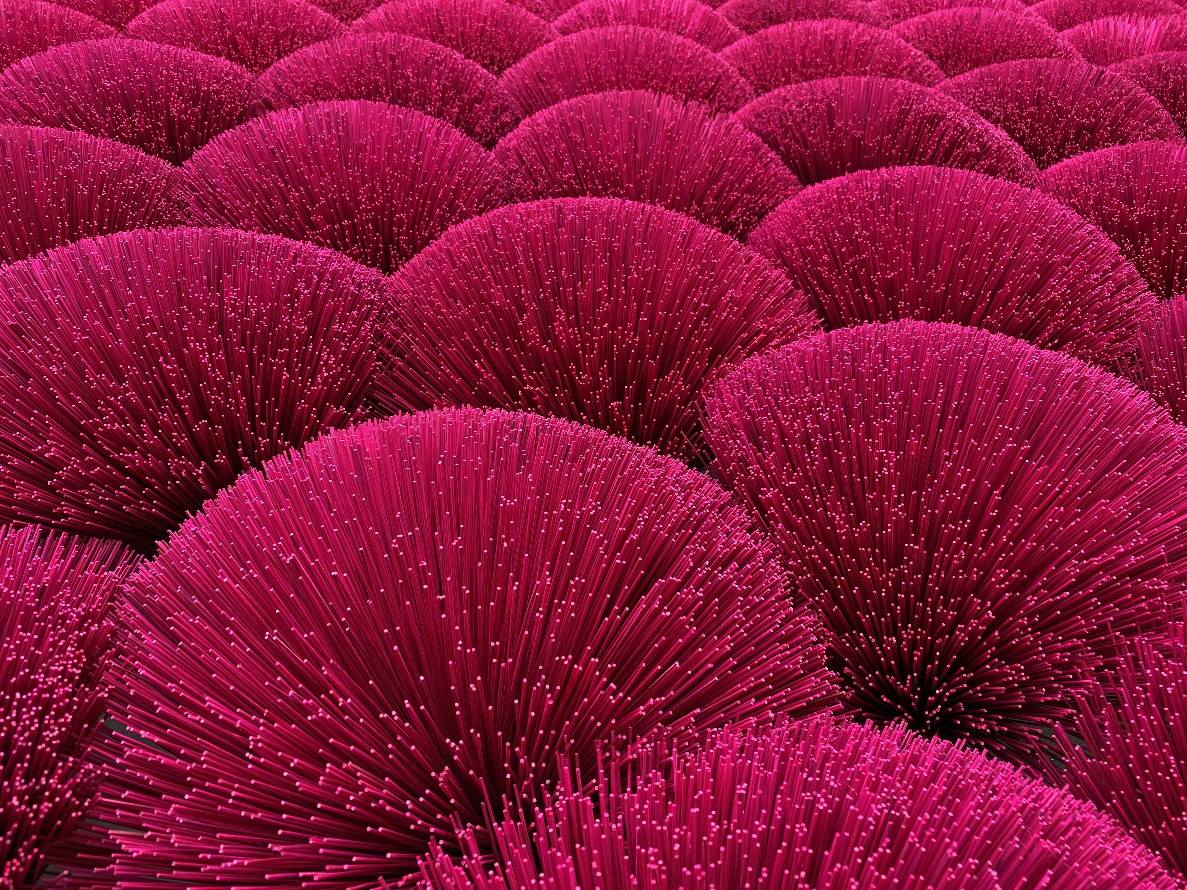 Pink Velvet Domes: A Macro Mosaic of Coral-Textured Spheres
