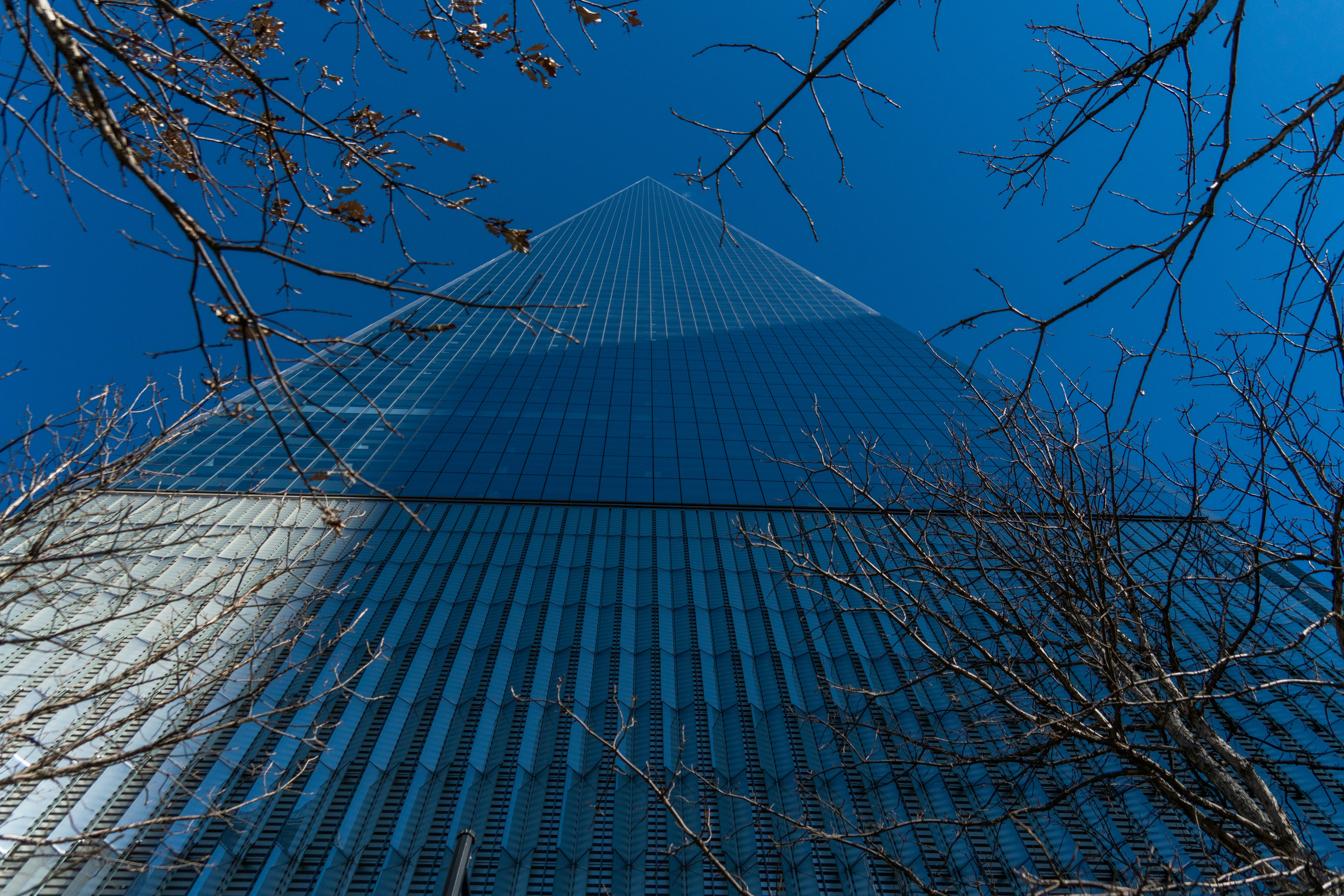 Photo by Thierry Biland with Sony Alpha 7 IV