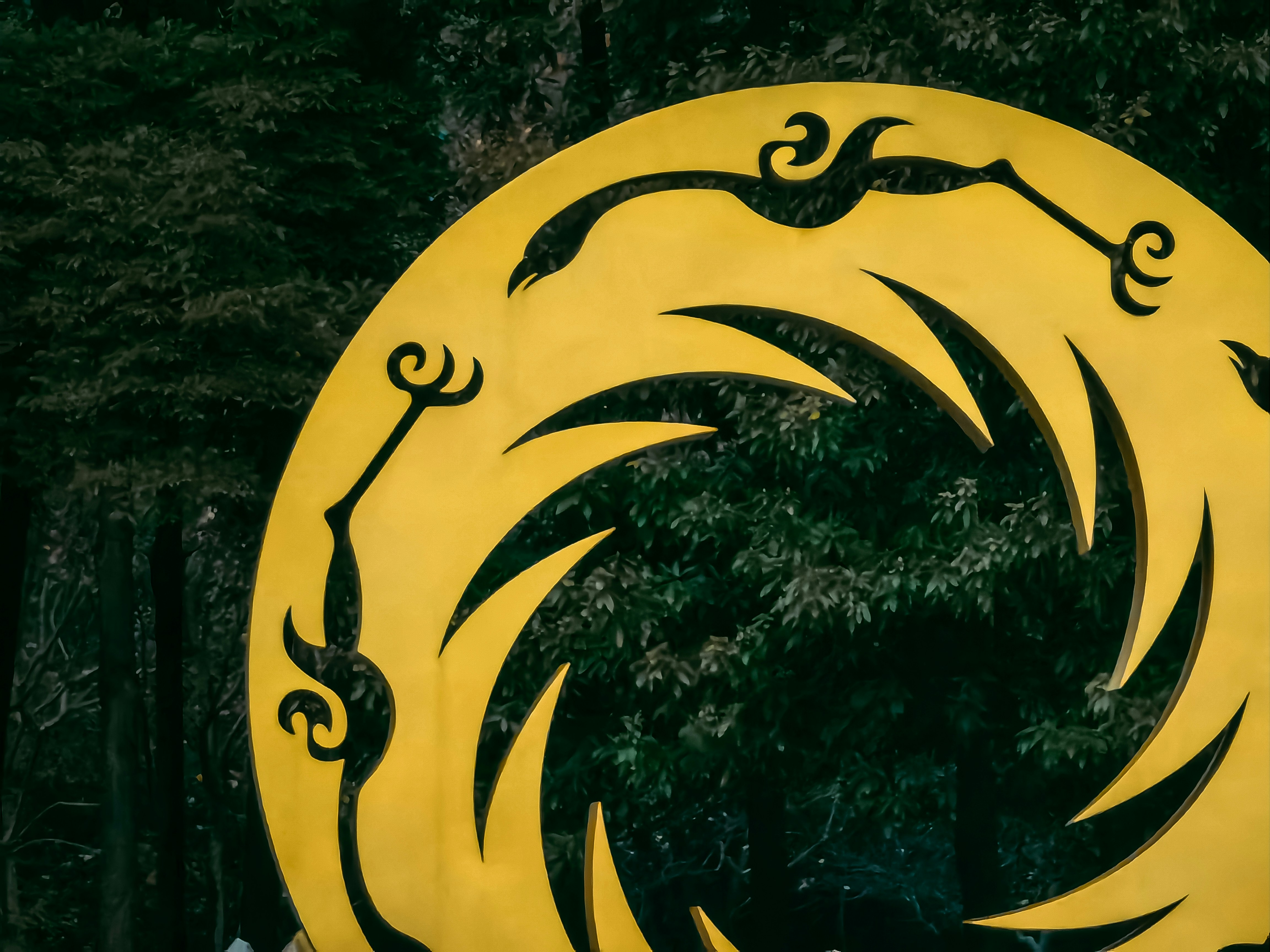 Spiral Sunwheel Amid Pine Shadows