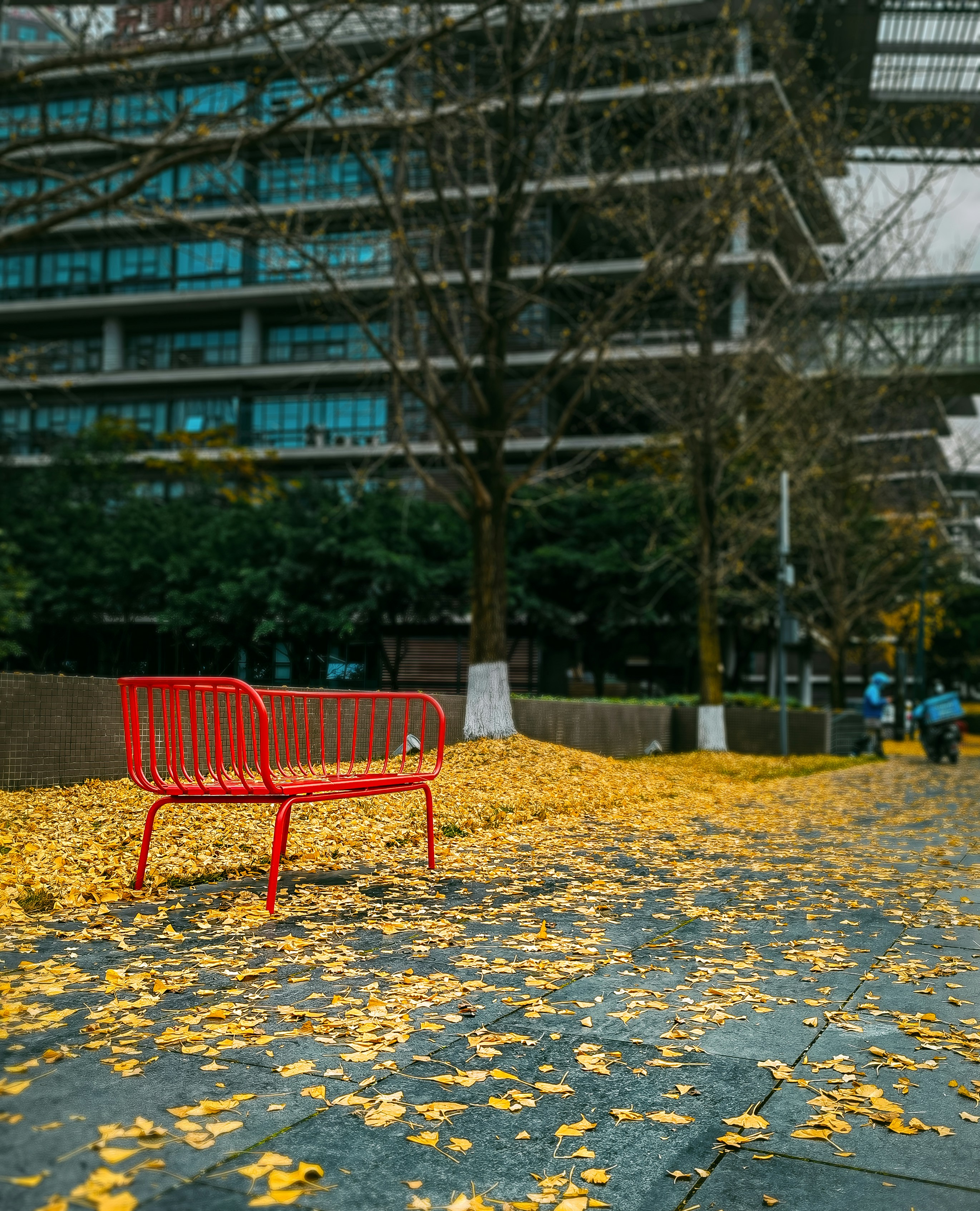 Crimson bench on a leaf-strewn plaza with a modern building and bare trees in the background.