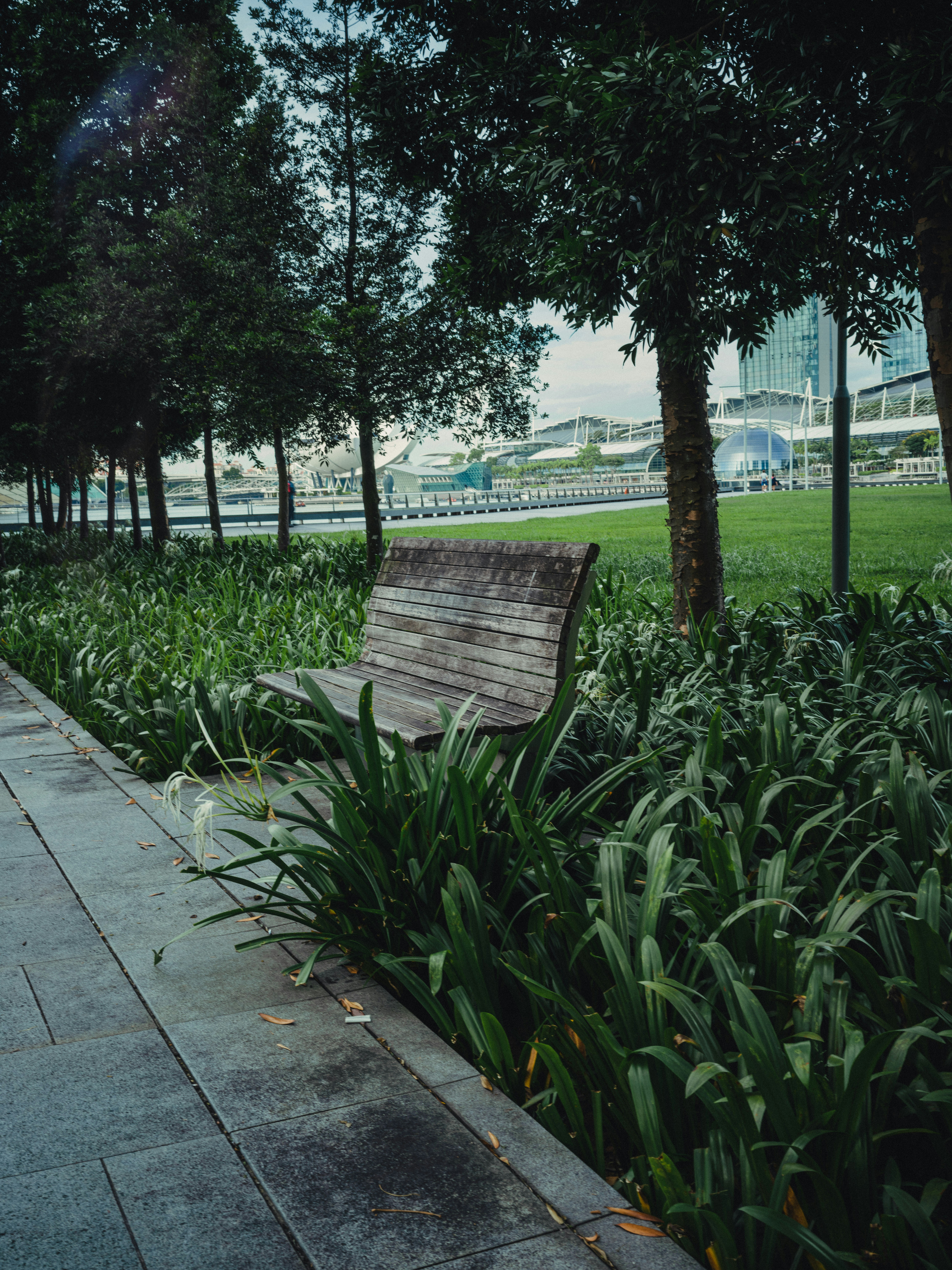 Weathered wooden bench along a paved path, framed by dense greenery. The urban waterfront and modern structures rise in the distance.