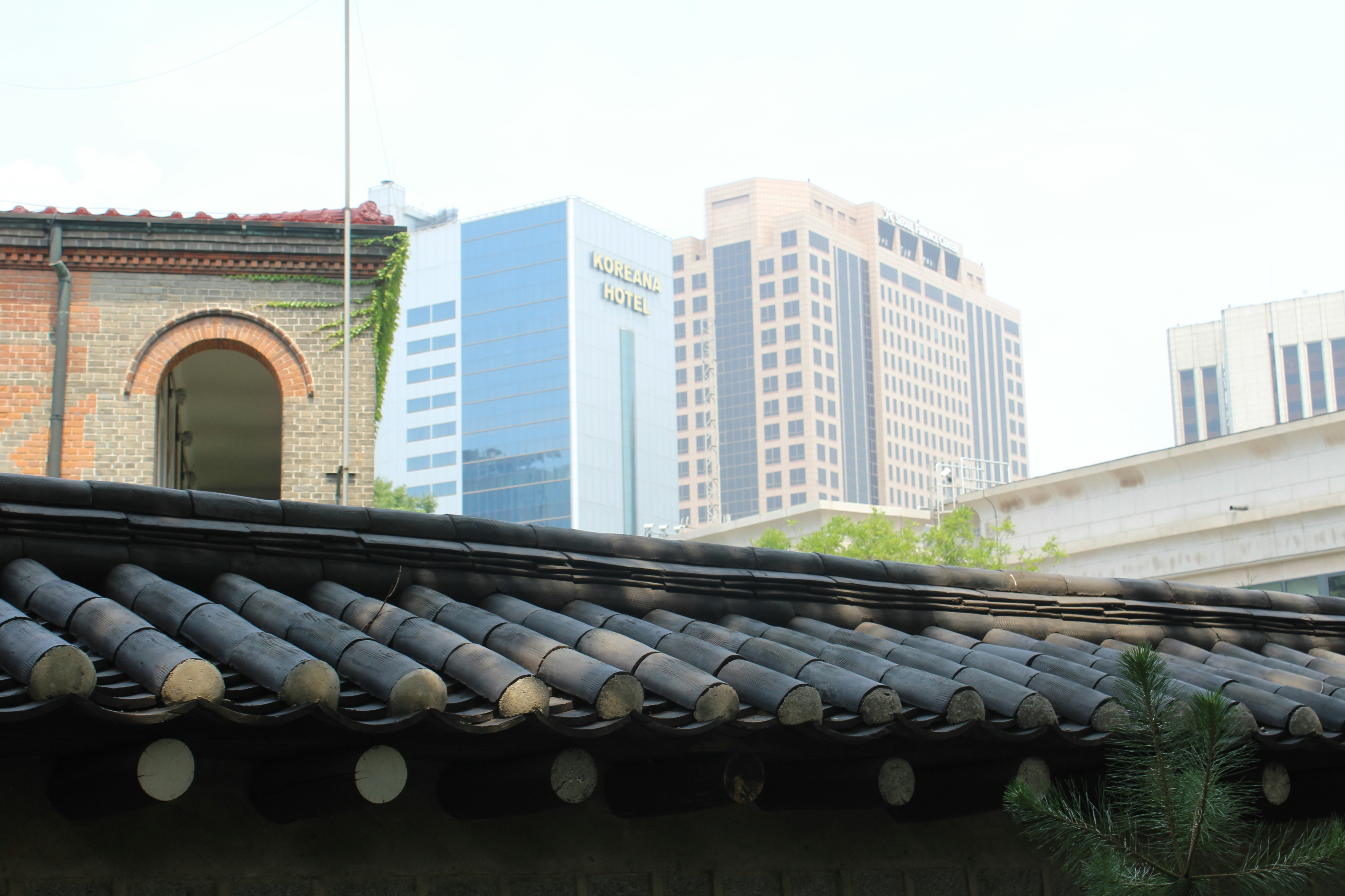 Photo by D.T. Greiner with Canon EOS 1200D