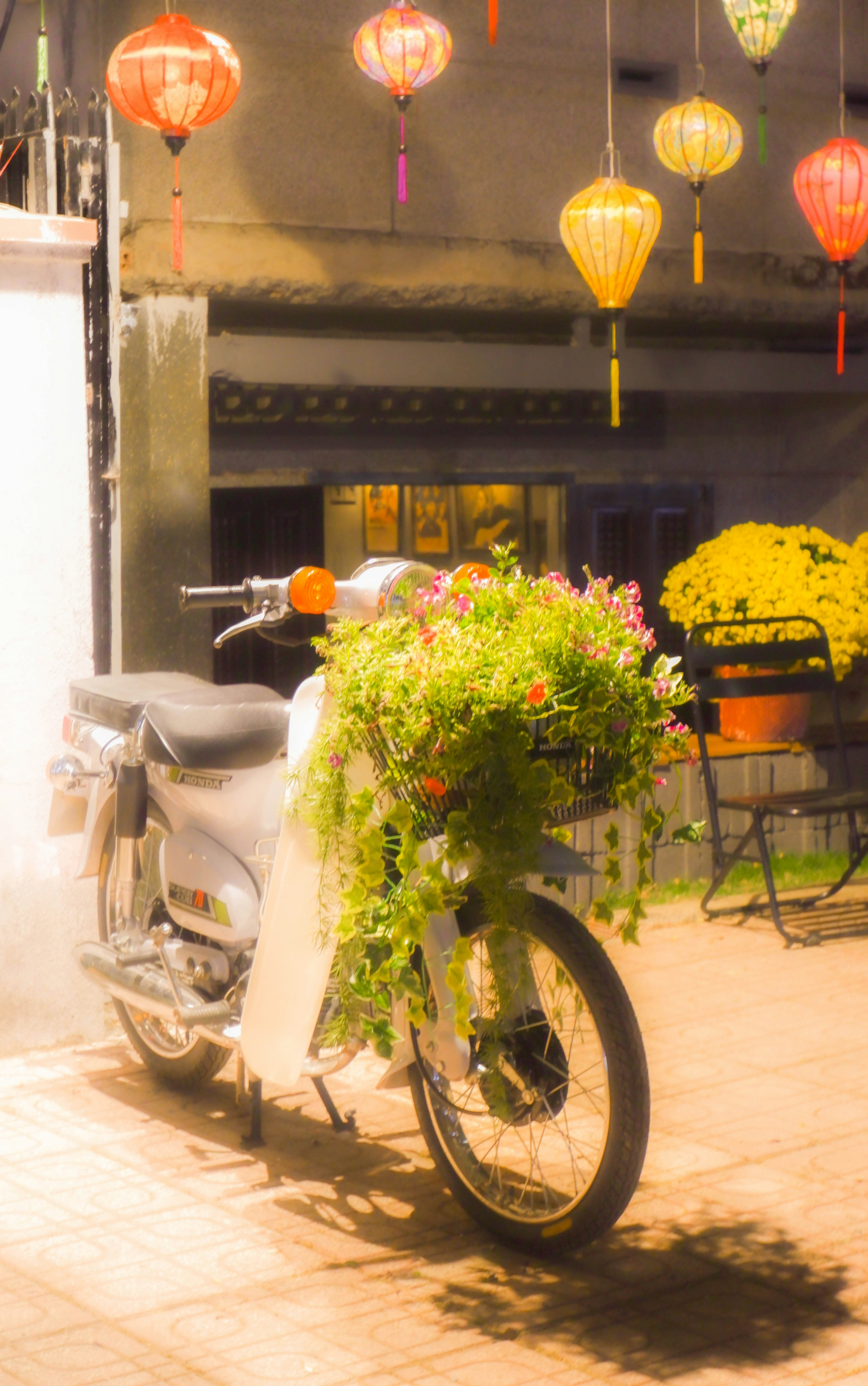 A motorcycle with a planter on the back of it photo – Free Flower Image ...