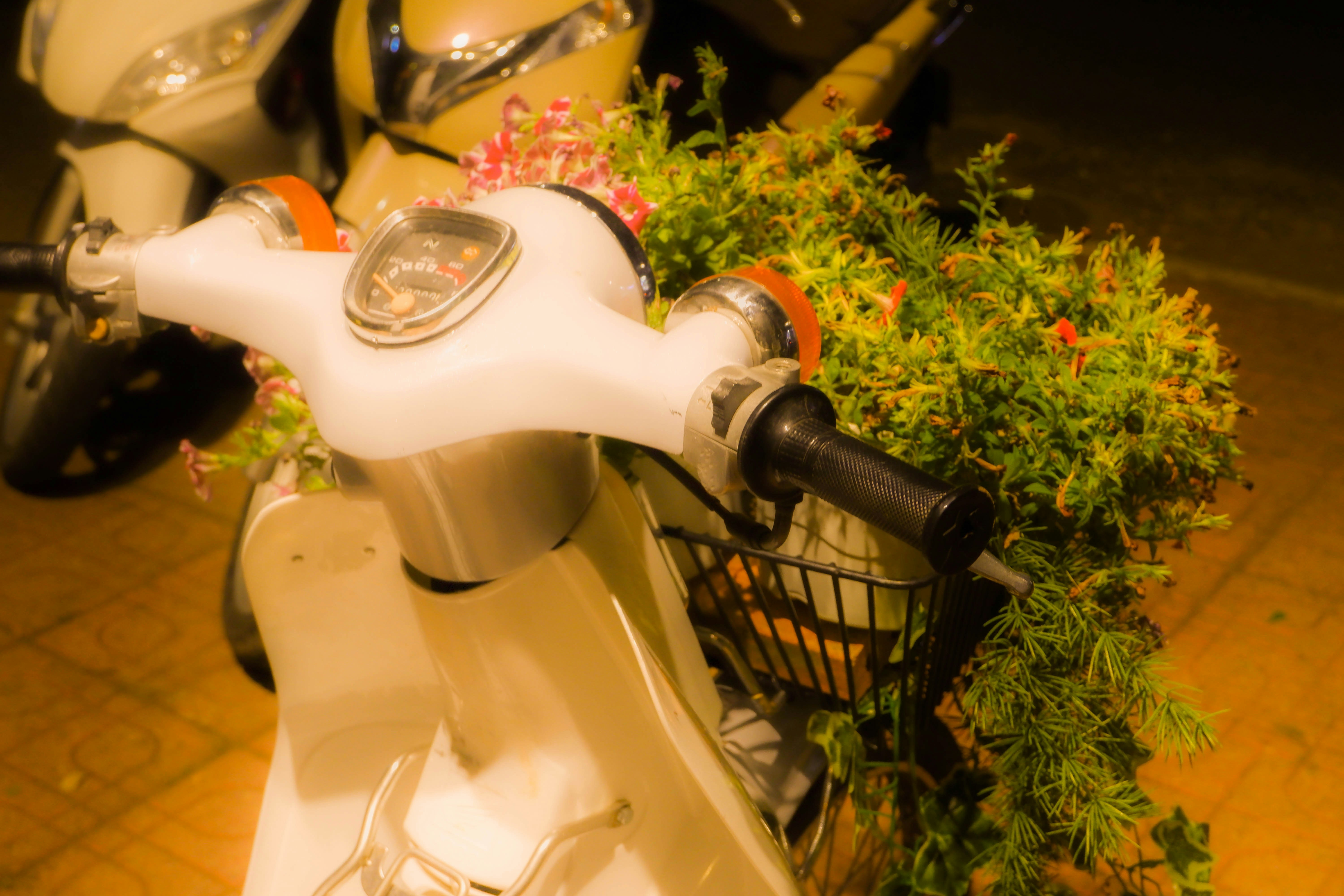 Photo by Huy Lộc with Fujifilm X-A5