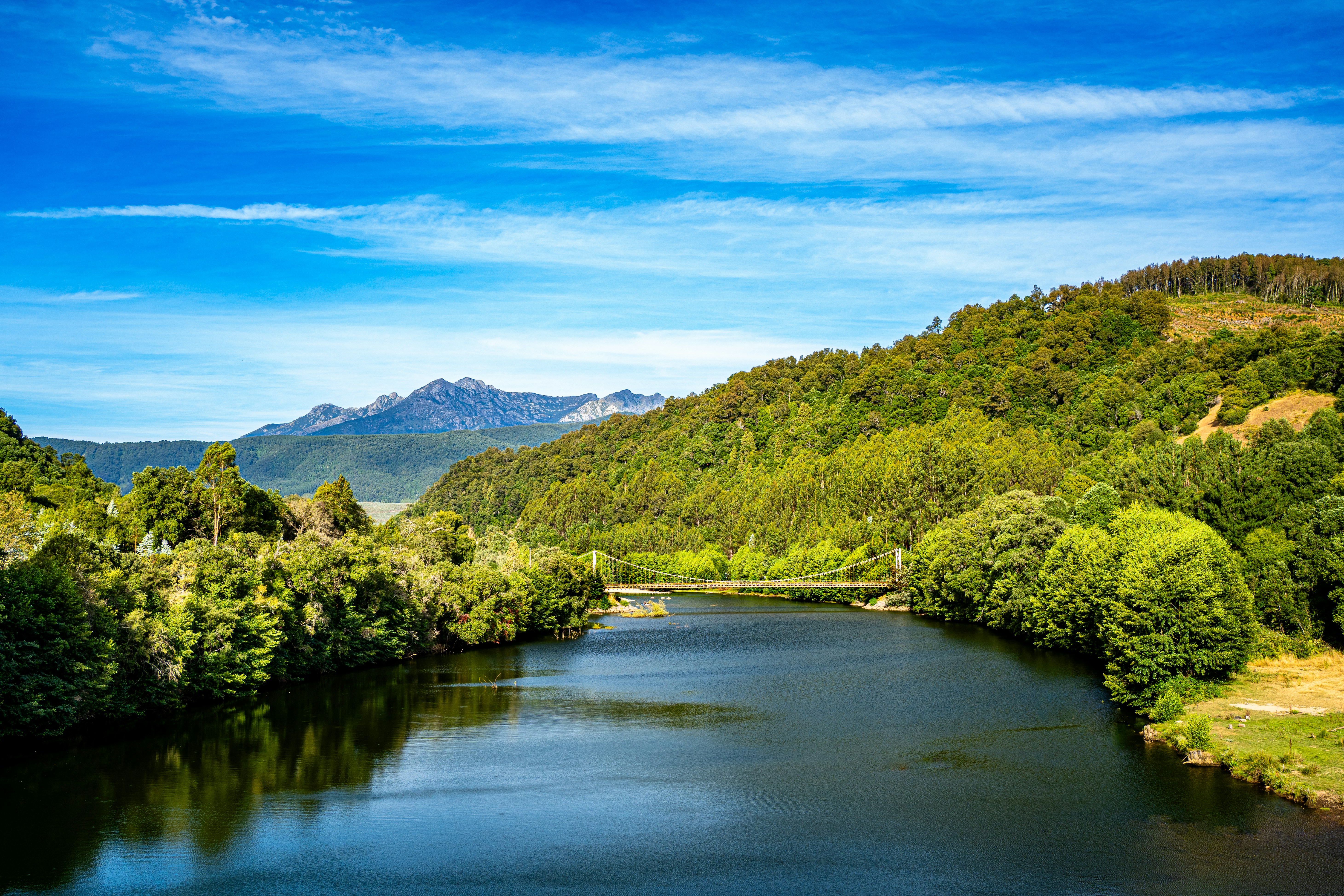 A river running through a lush green forest photo – Free River Image on ...