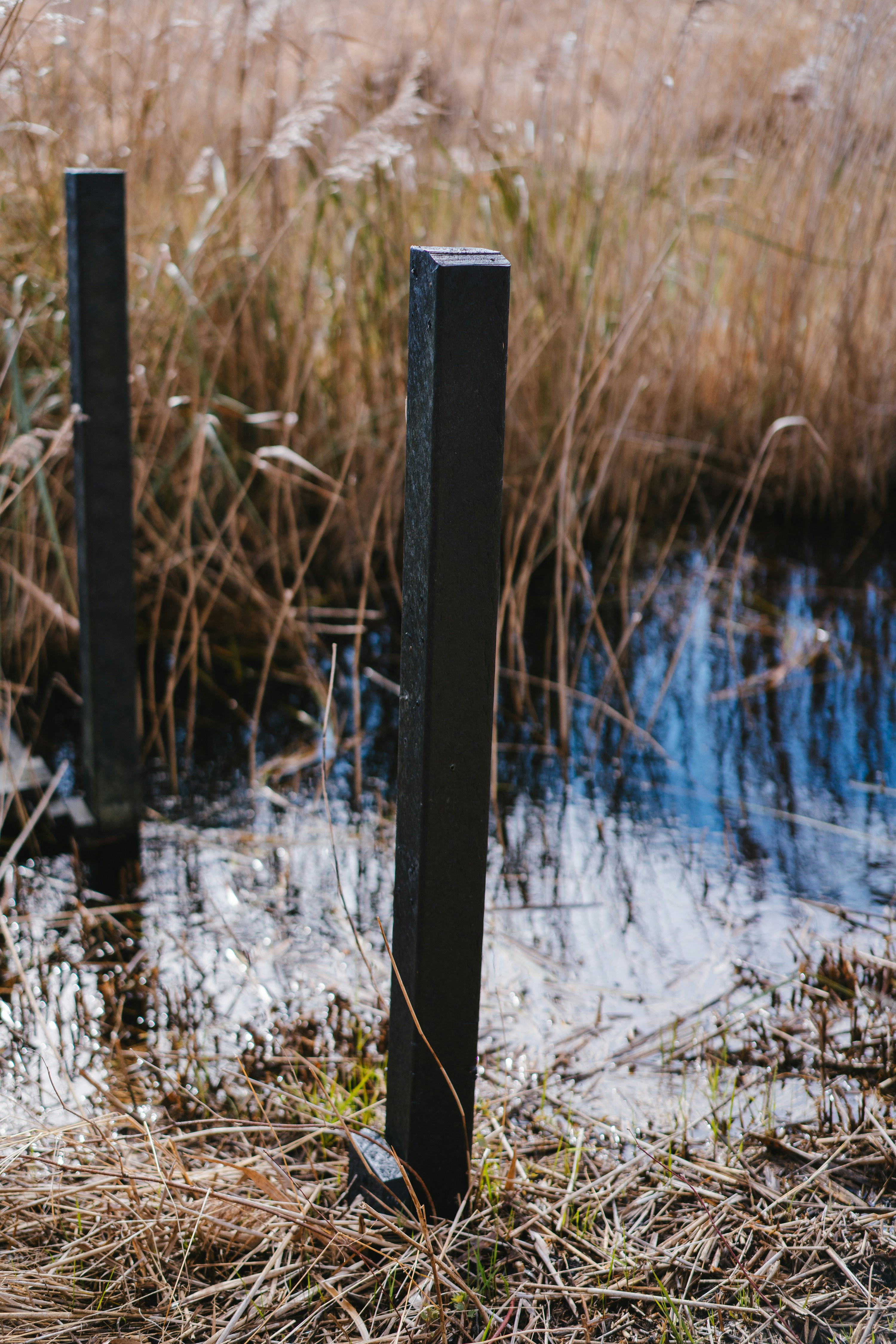 A couple of poles that are in the grass photo – Free Nature Image on ...