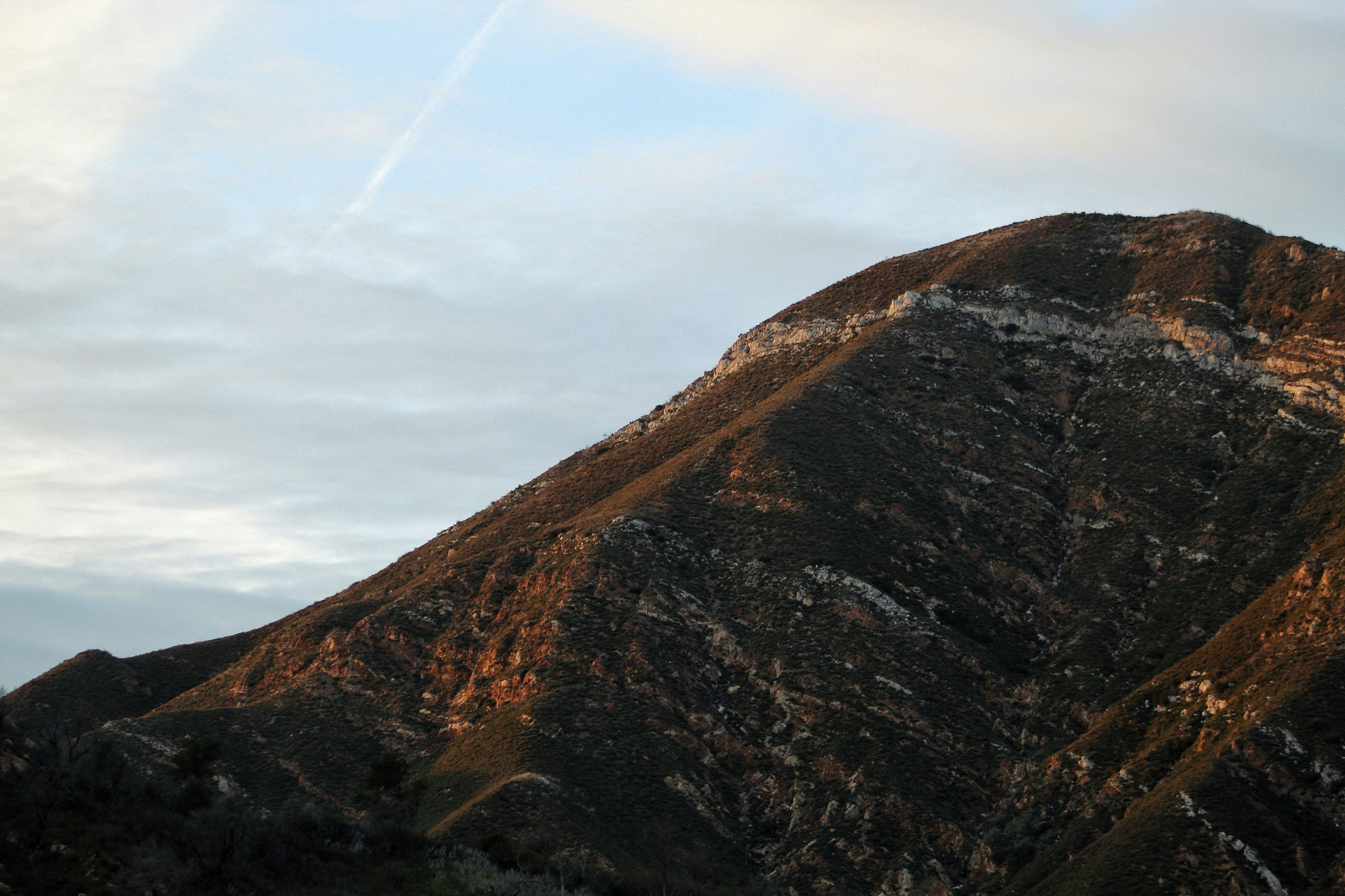 Photo by Junipero Verbeke with Canon EOS 1300D