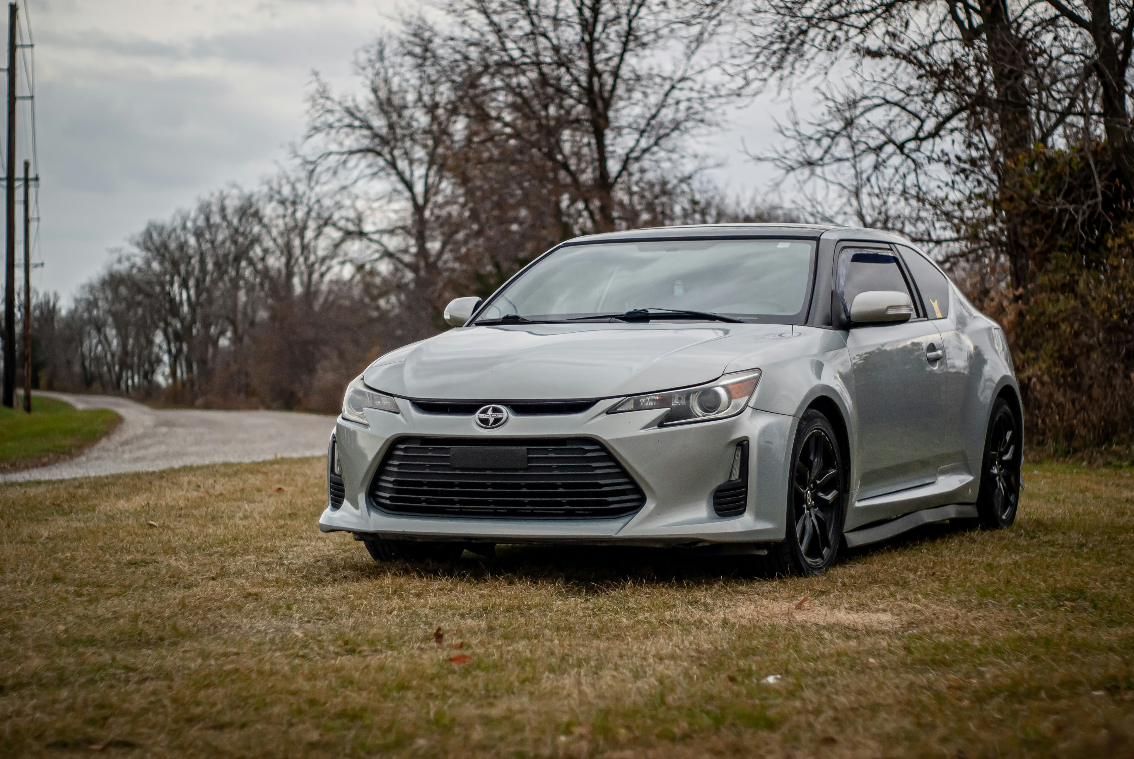 Silver car parked on grass beside a winding road with bare trees under overcast sky.