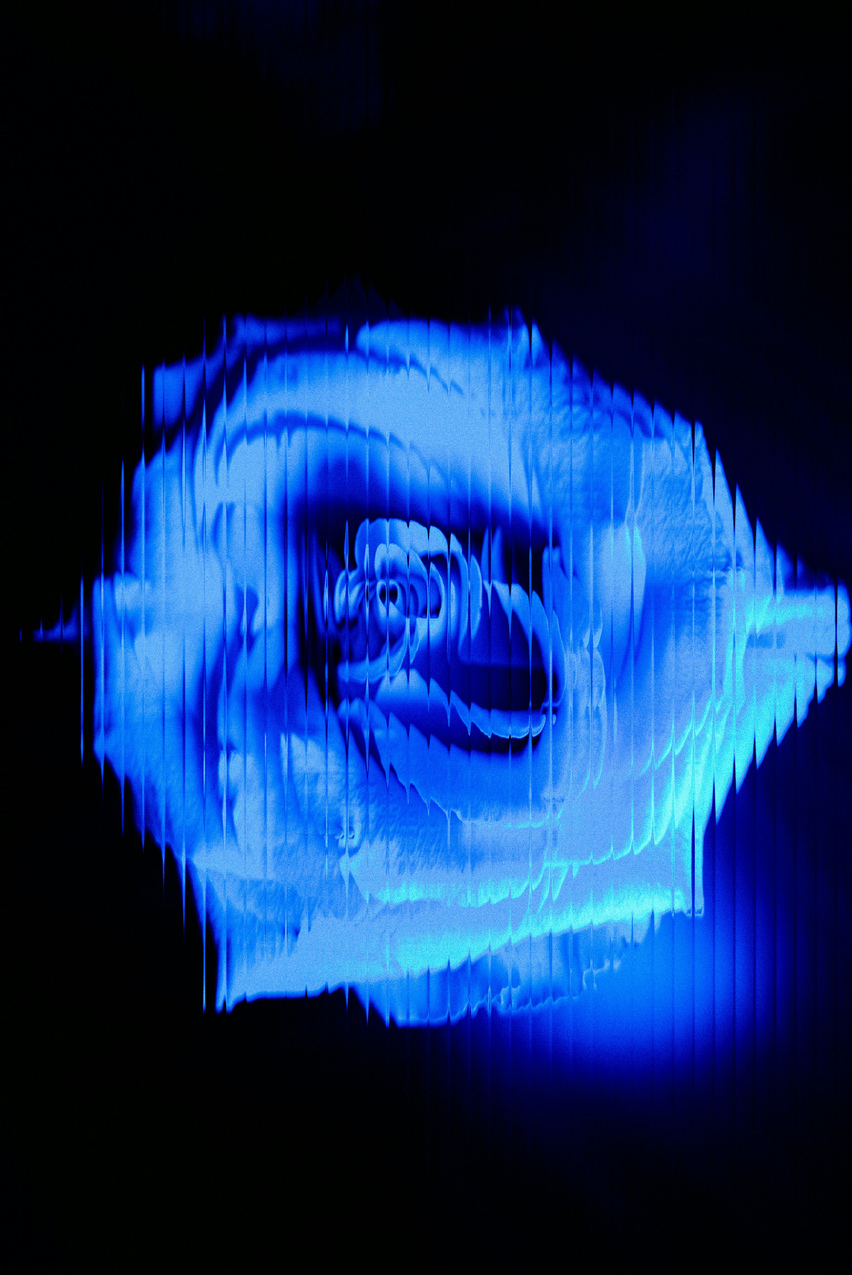 Abstract digital artwork of a blue rose formed by glitch-like vertical streaks against a dark background.