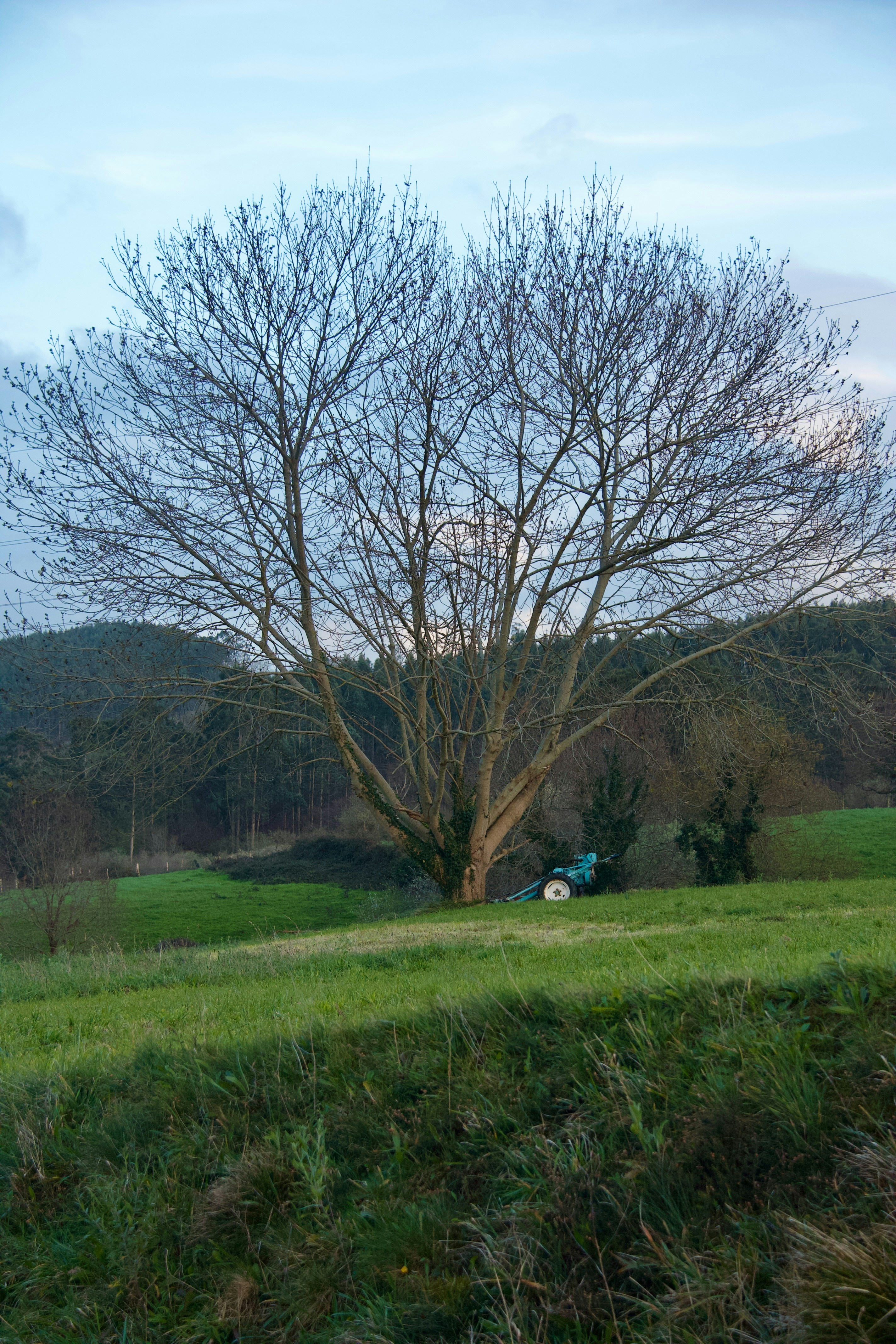 Photo by Pablo Sanchez Cuesta with Canon EOS 450D