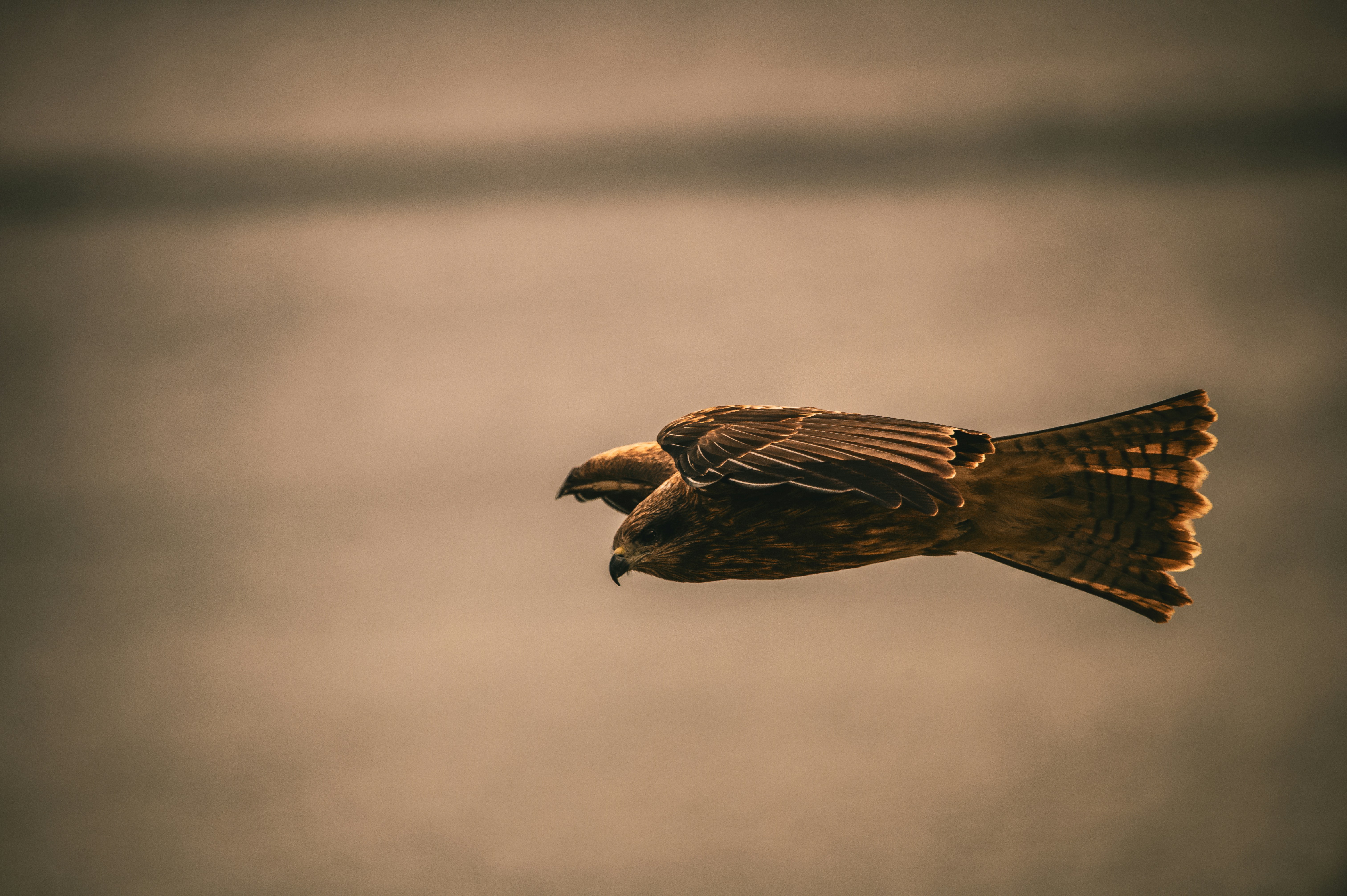 Photo by Leon Andov with Nikon D780