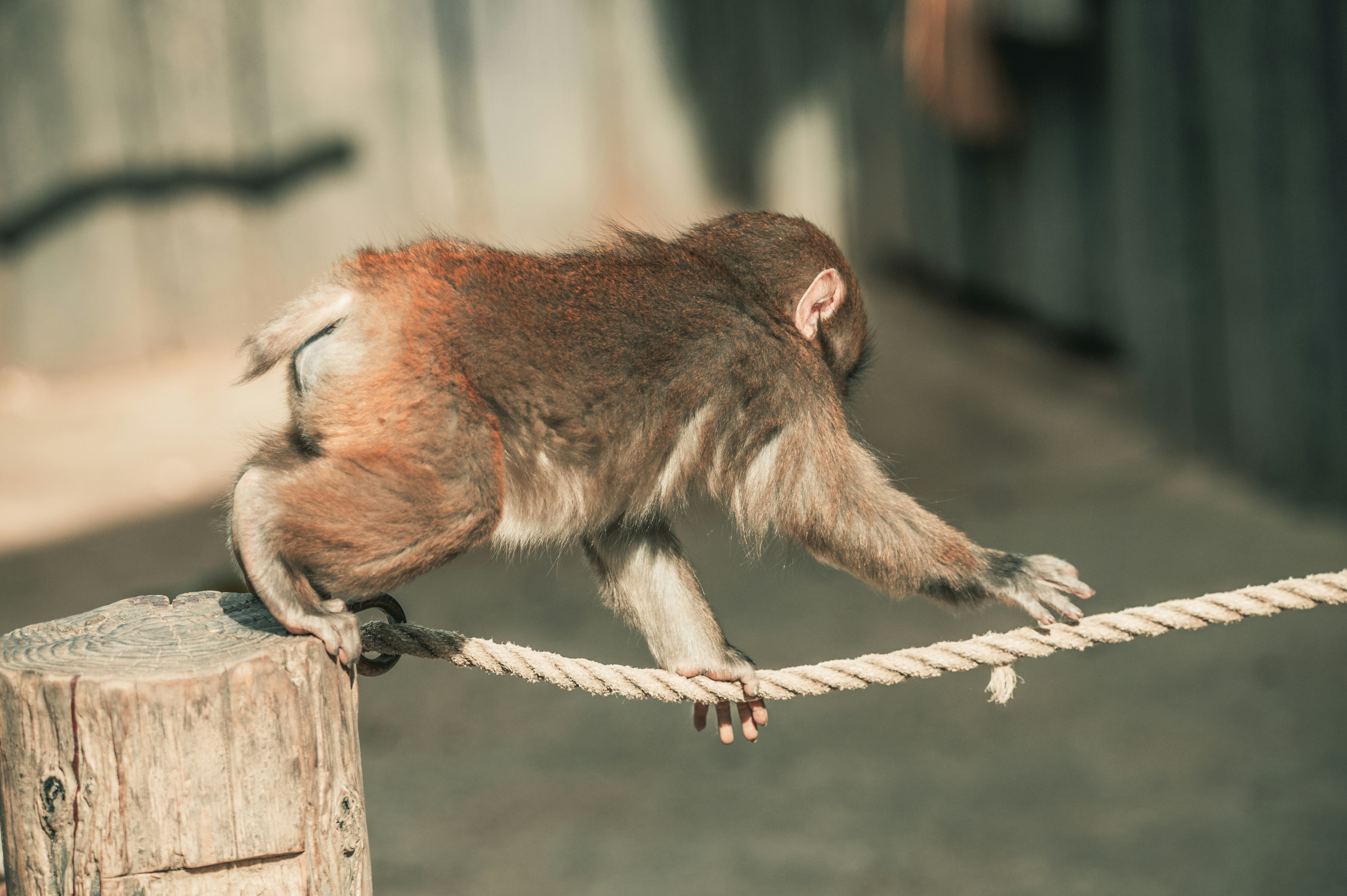 Photo by Leon Andov with Nikon D780