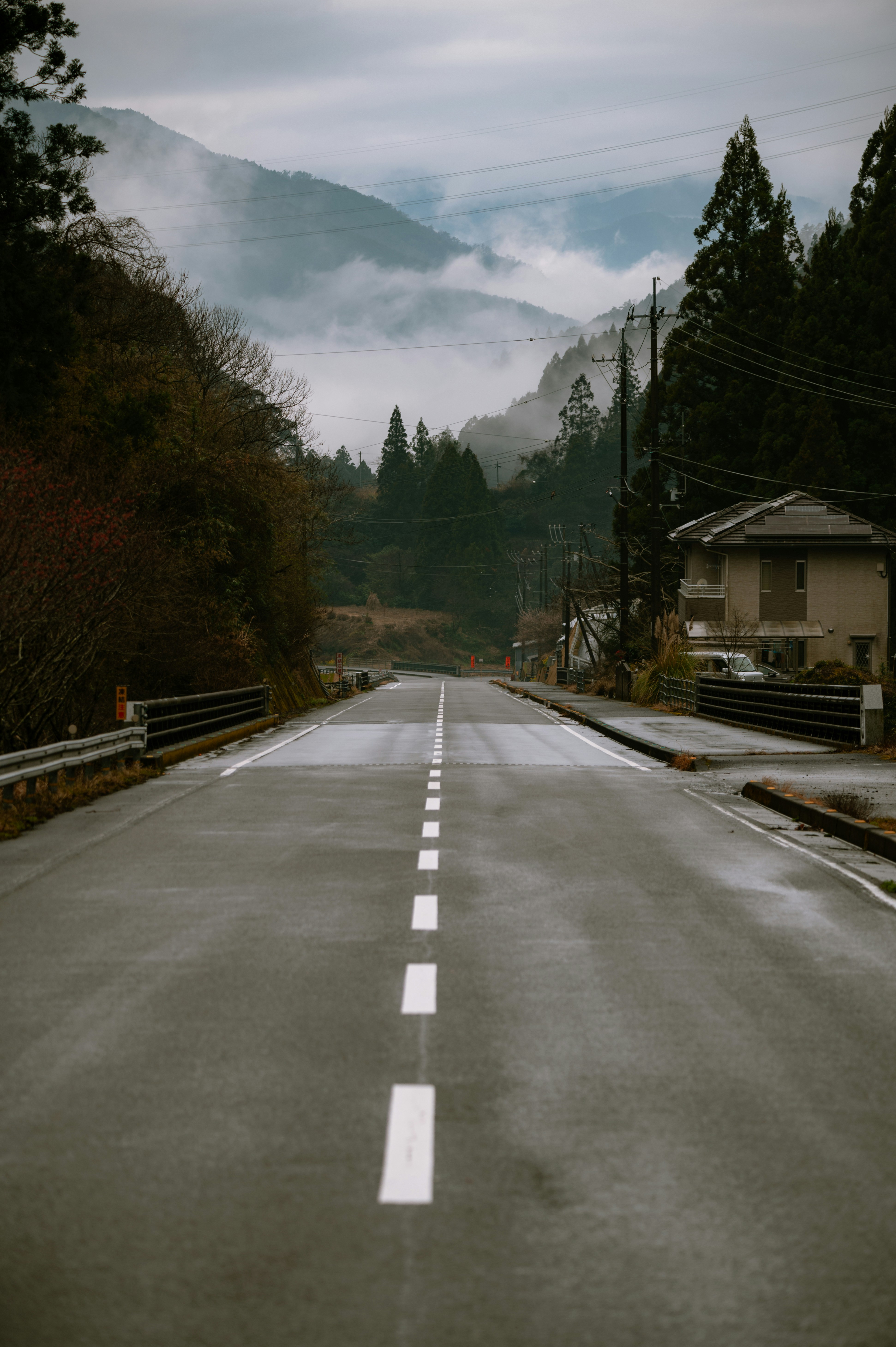 Photo by Leon Andov with Nikon D780