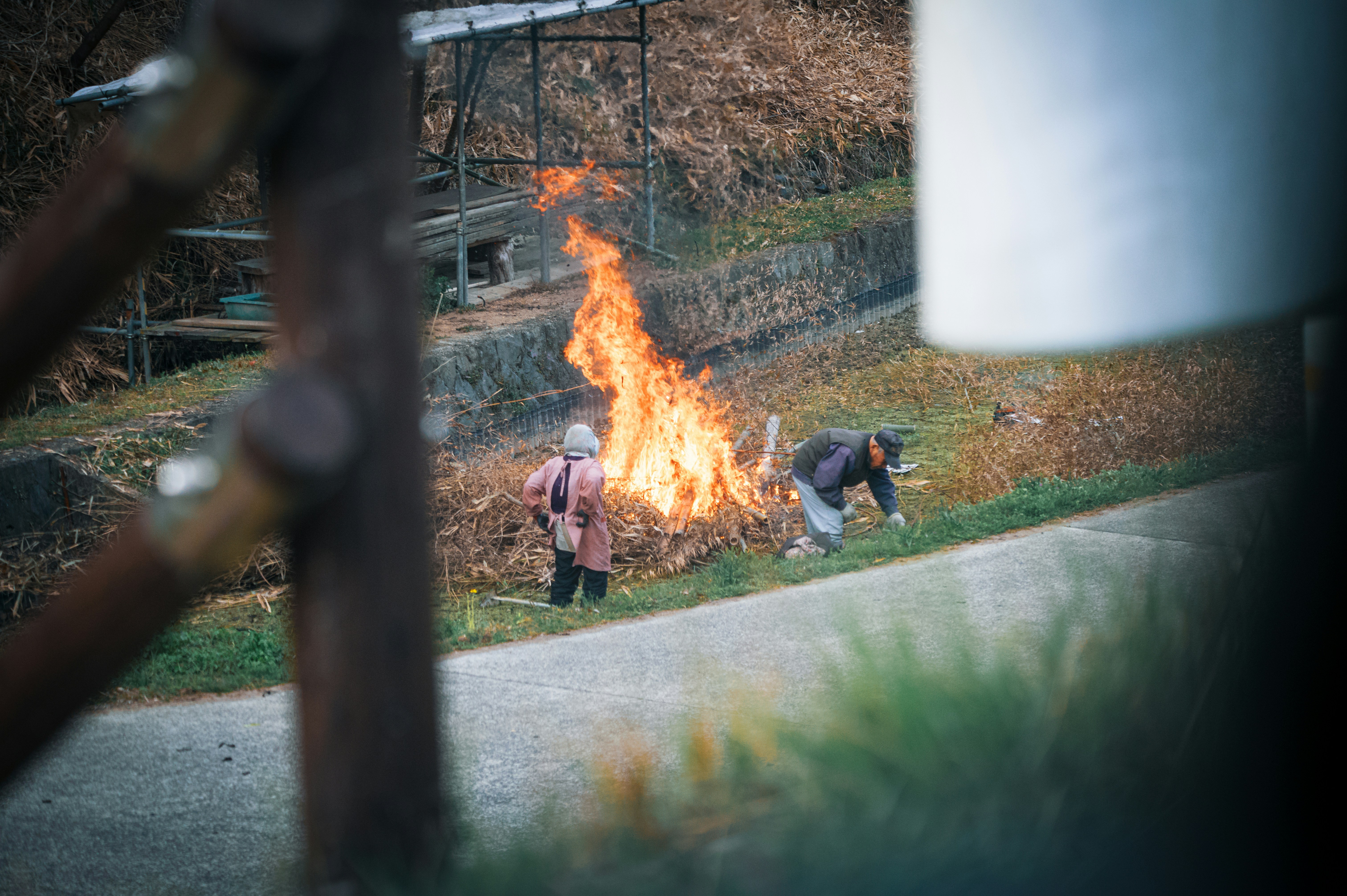 Embers on the Park Path: Two Figures Beside a Rising Flame