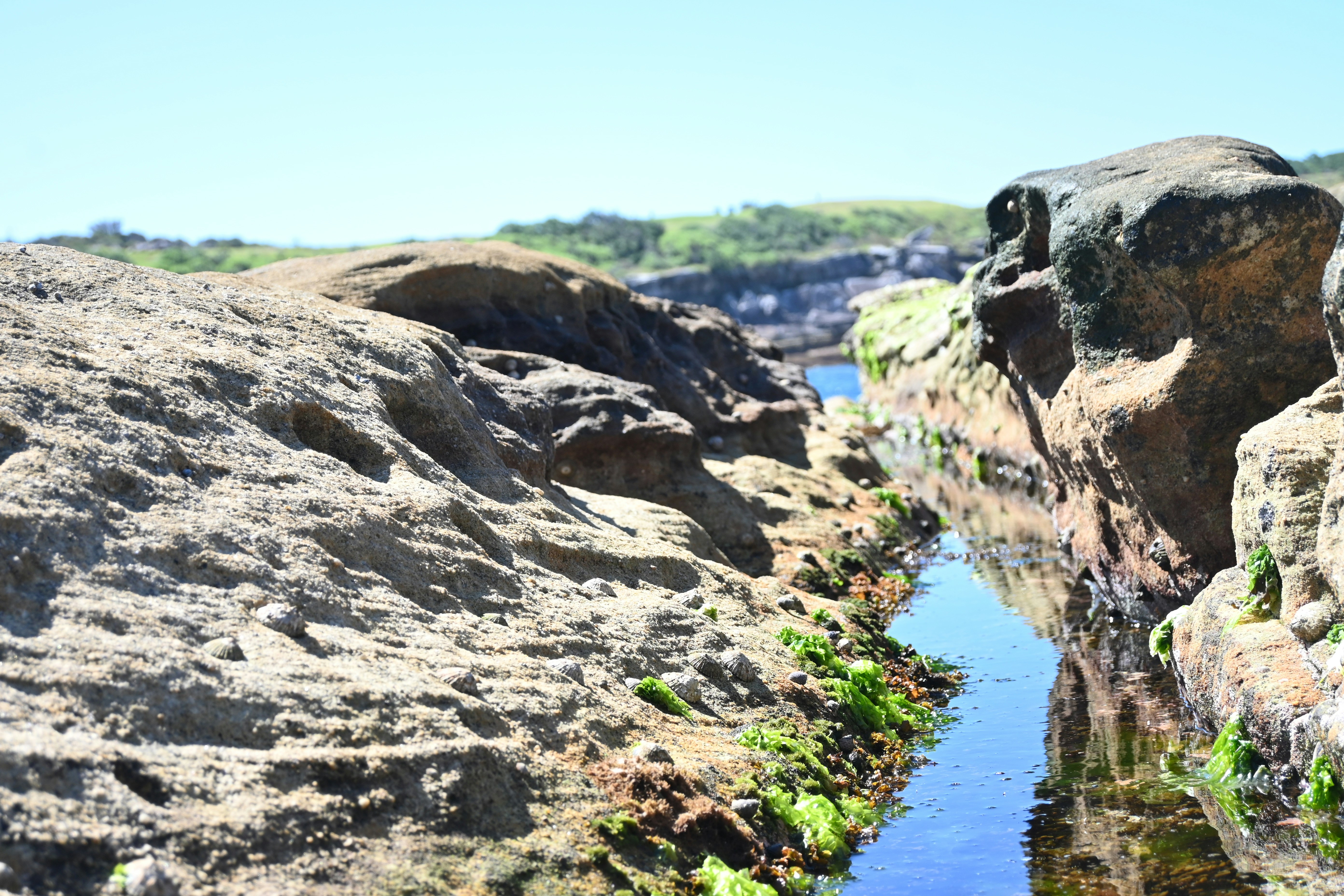 Ridge Channel: Sunlit Tide-Water Wends Between Weathered Coastal Boulders
