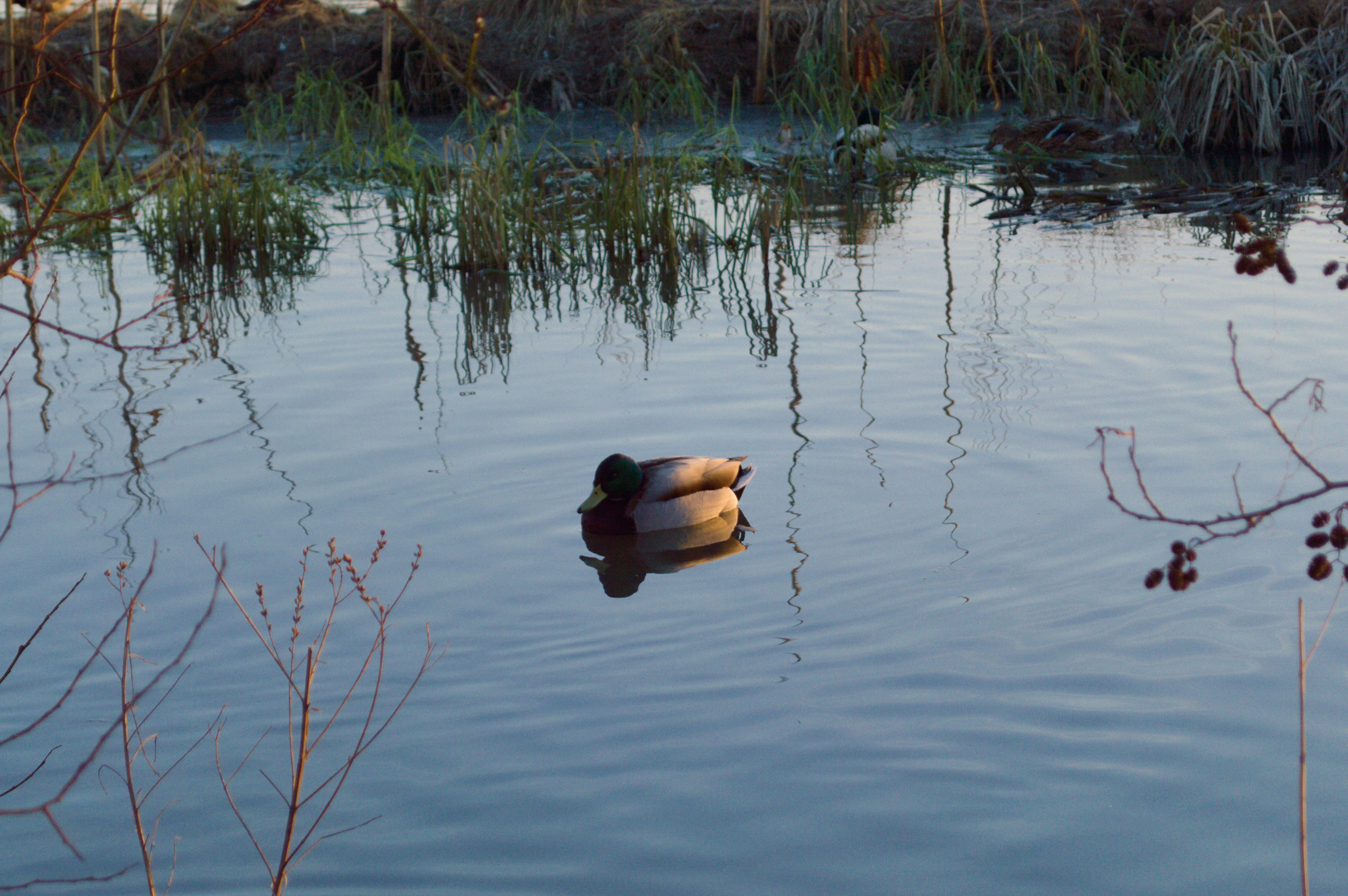Photo by Egemen Şahin with Nikon D3200