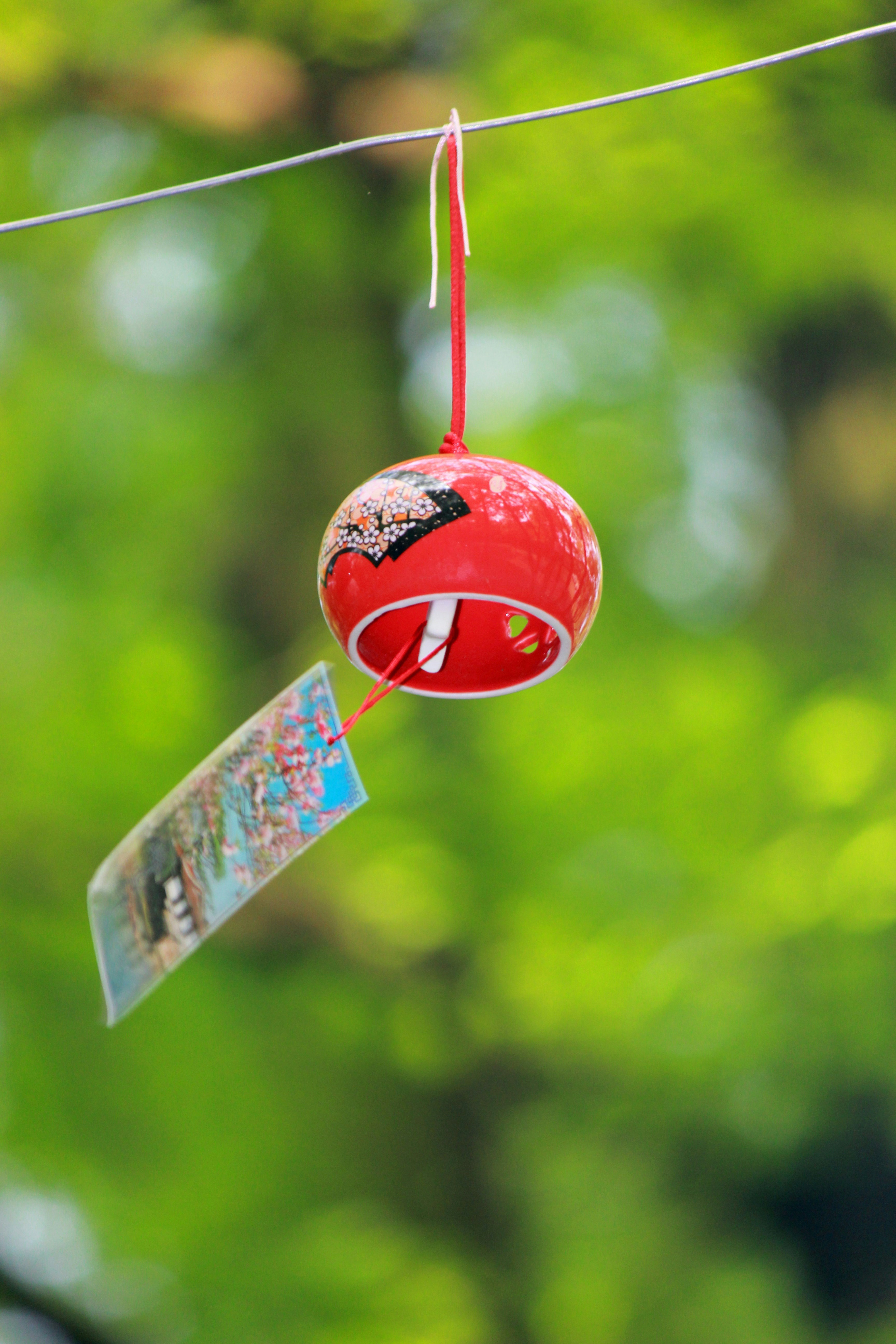 Crimson Lantern on a Wire: A Quiet Garden Moment in Soft Bokeh