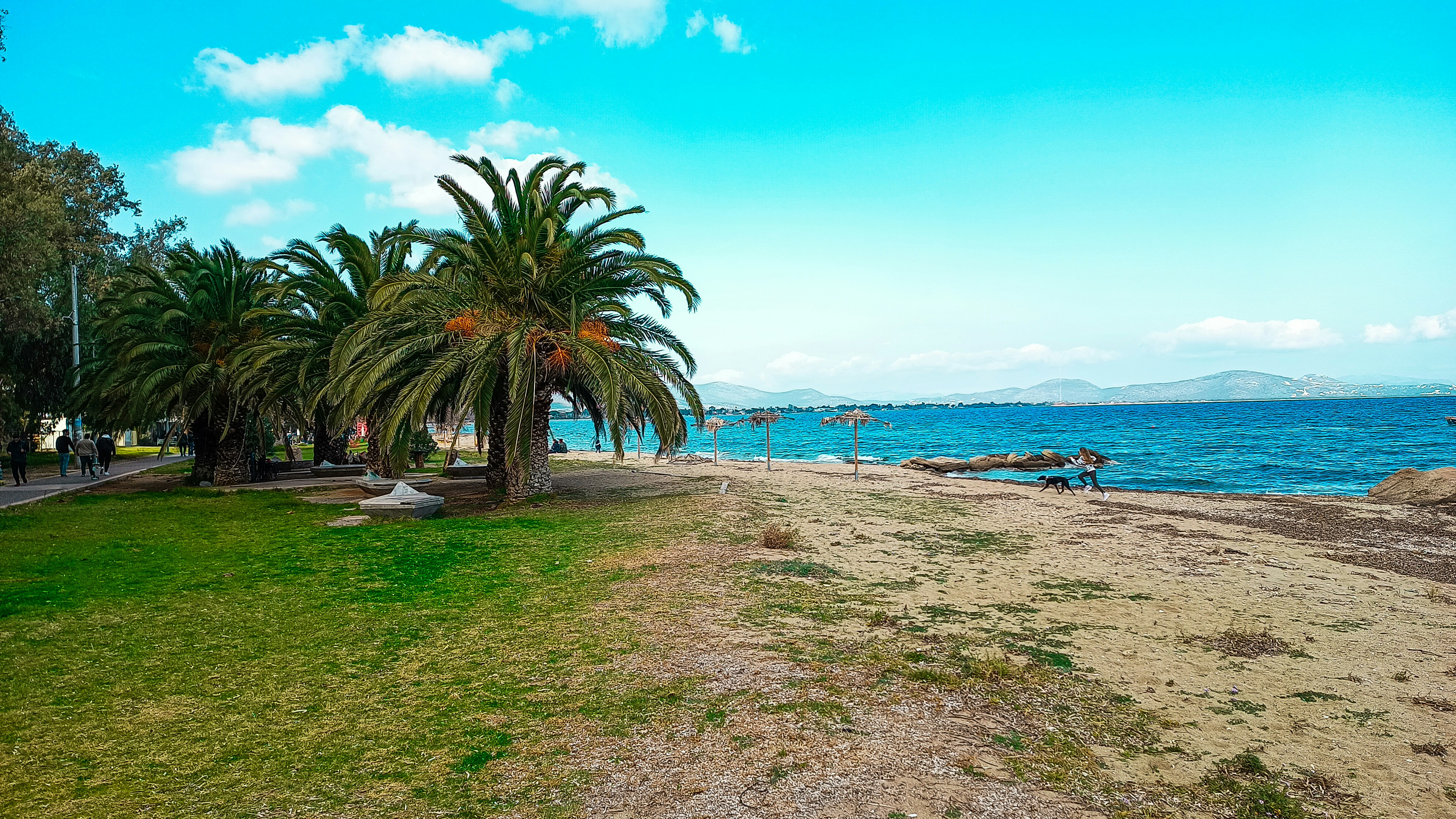 Palm trees line a sandy beach beside turquoise waters under a bright sky.