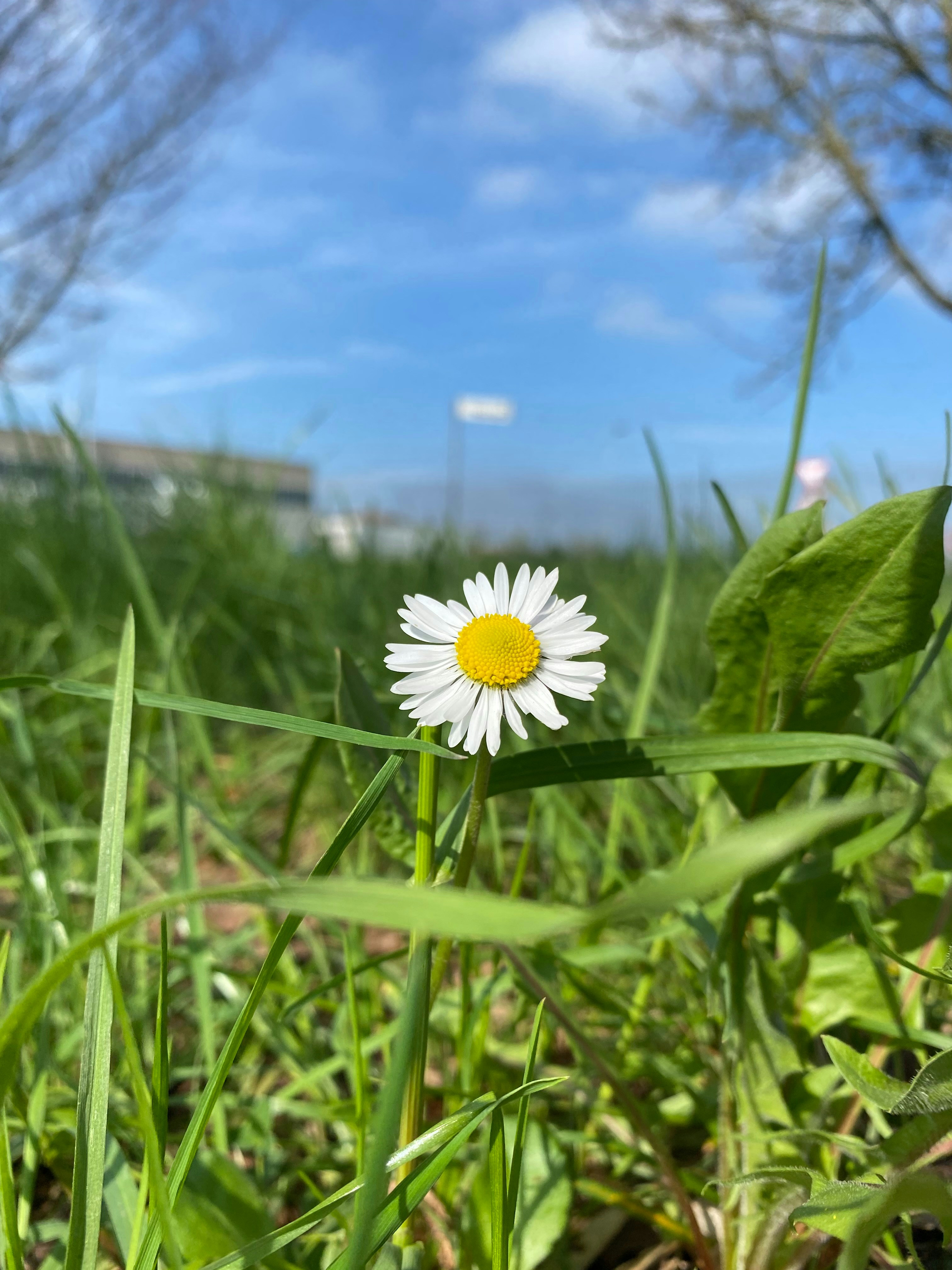 Photo by Hardial Aujla with Apple iPhone 11