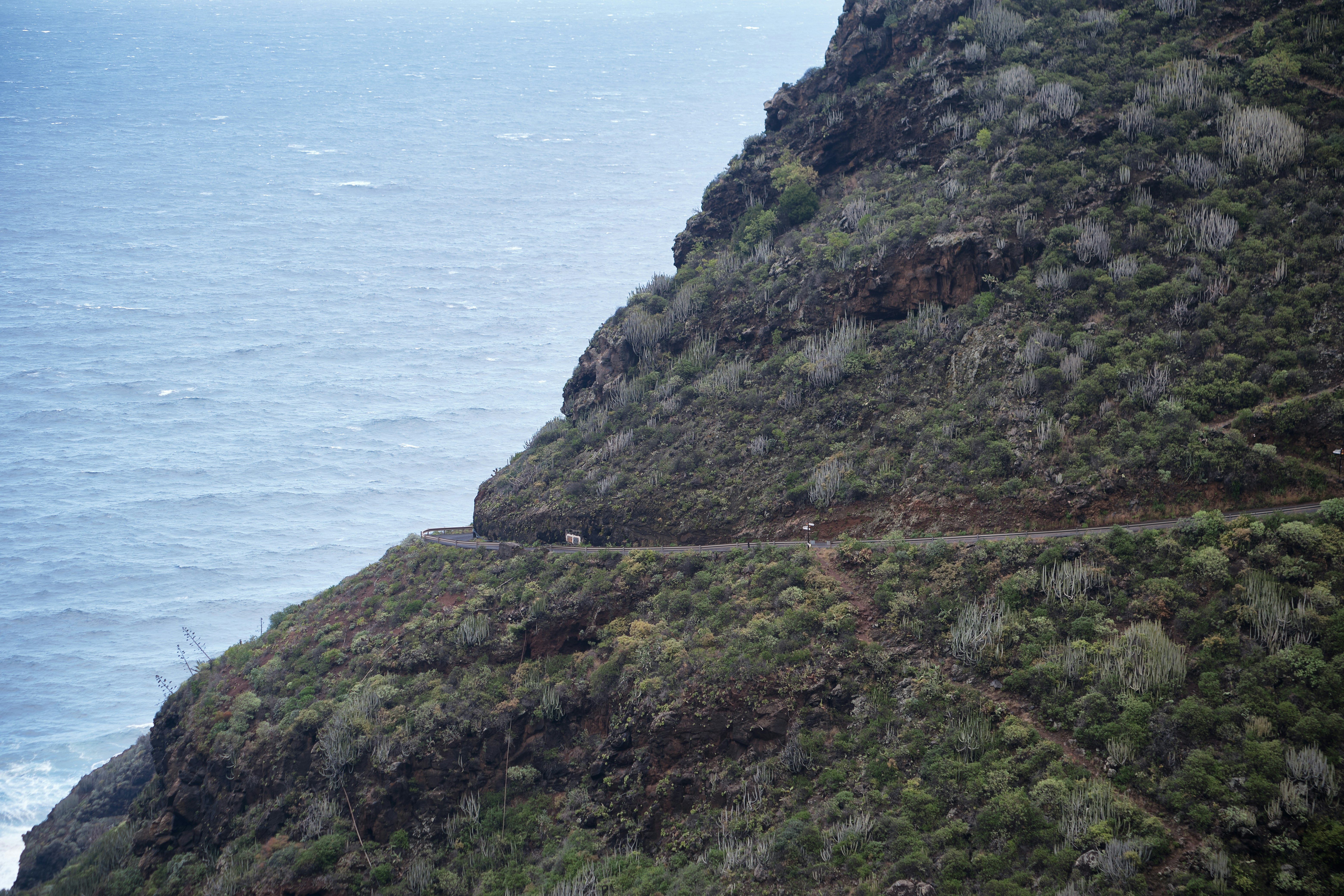 The Serpentine Cliff Road: A Quiet Vista Along the Sea Edge
