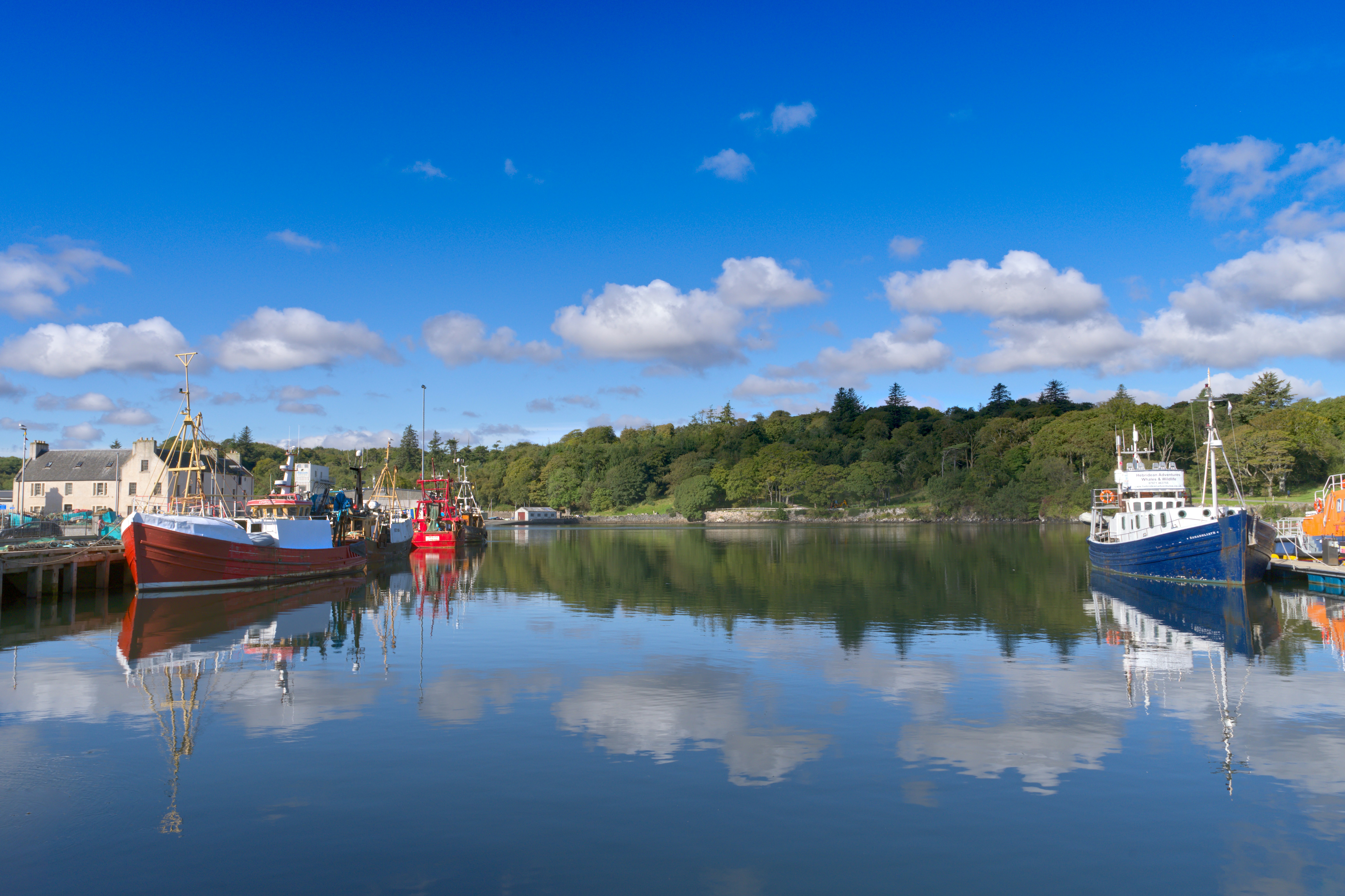 Fishing boats anchored in a tranquil harbor, surrounded by lush greenery and a clear blue sky. The scene captures the serene beauty of maritime life.