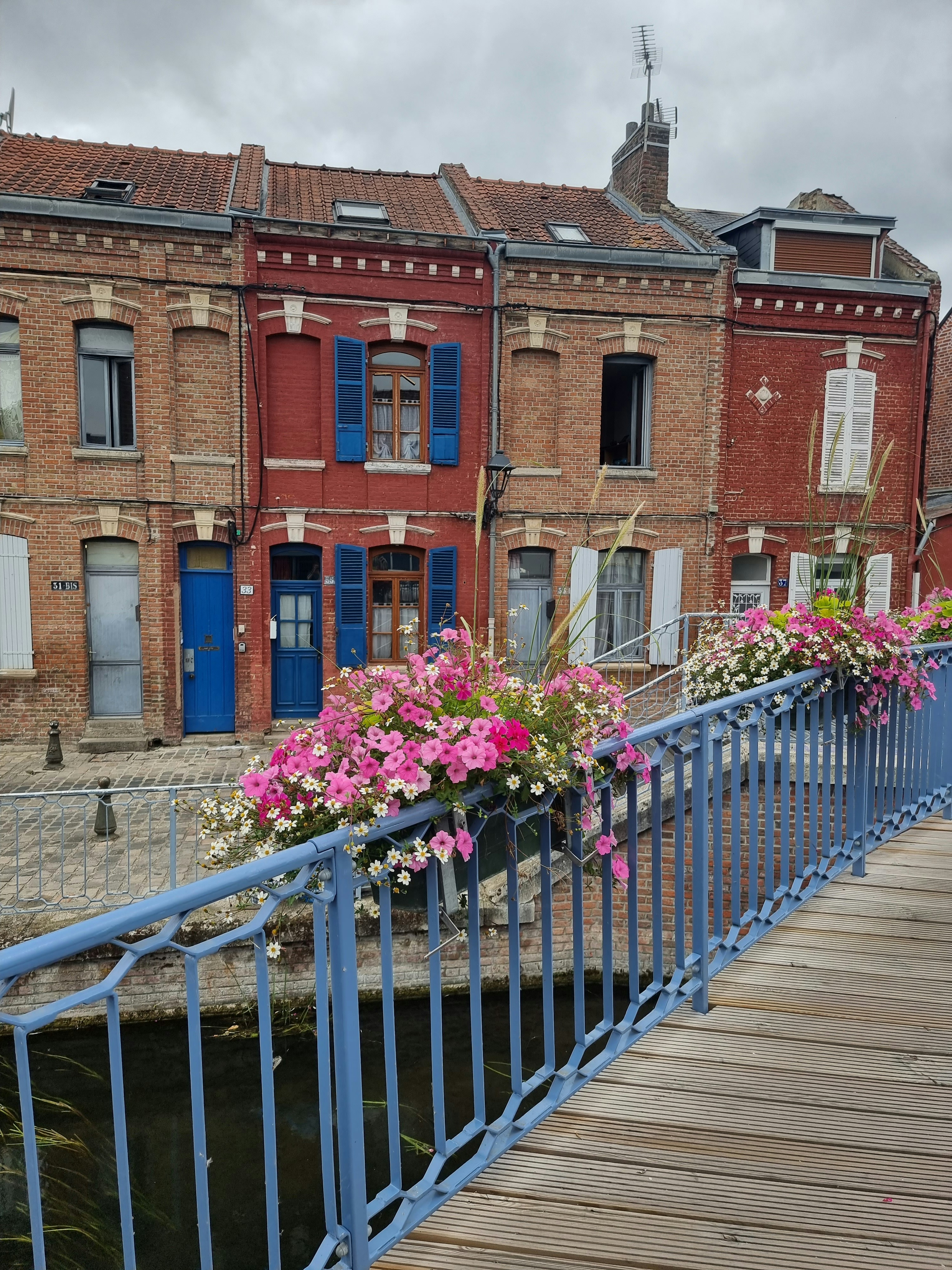 Cerulean Shutters Framing a Blooming Canal Bridge