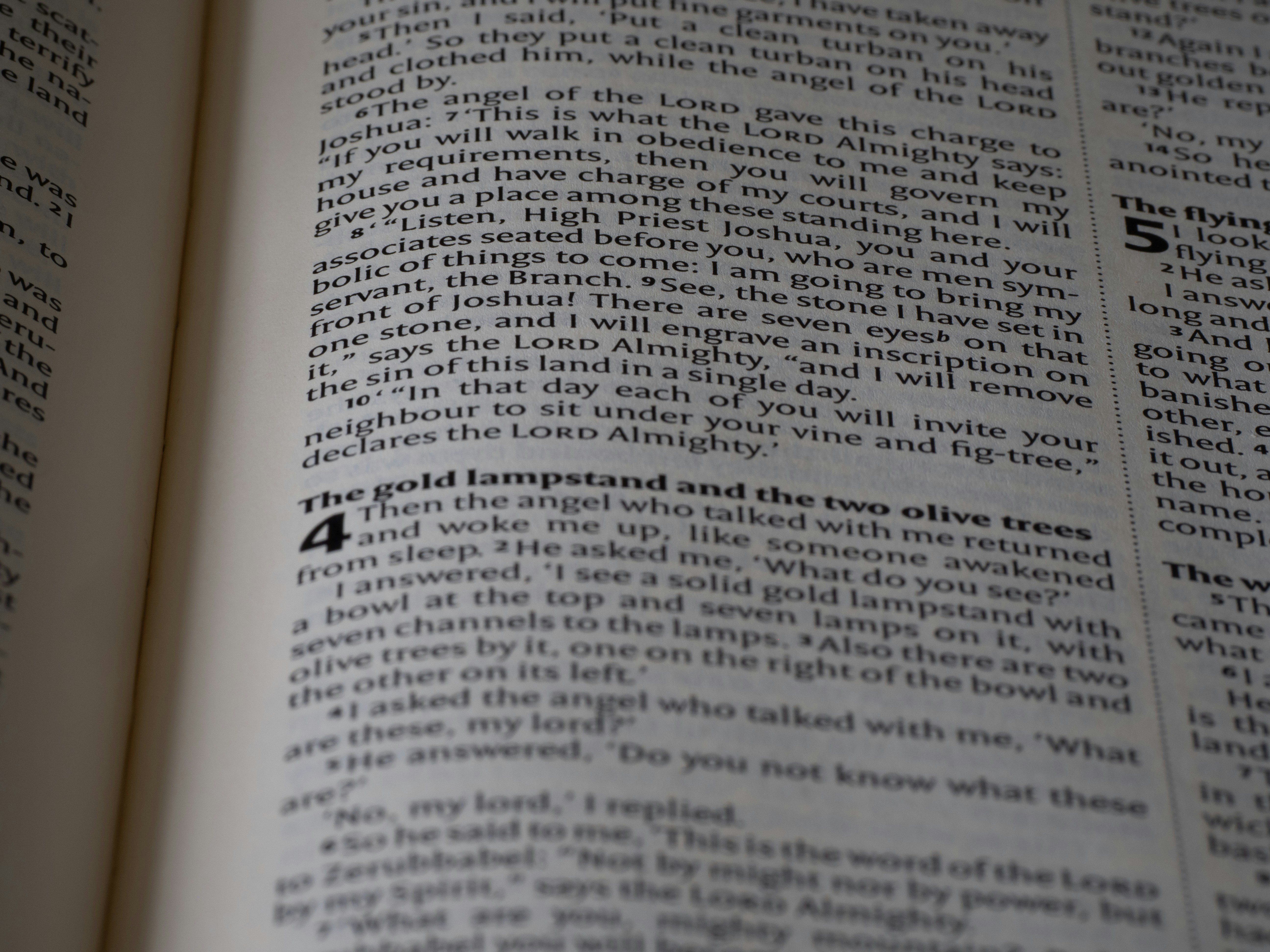 A close up of an open book with text photo – Free Grey Image on Unsplash