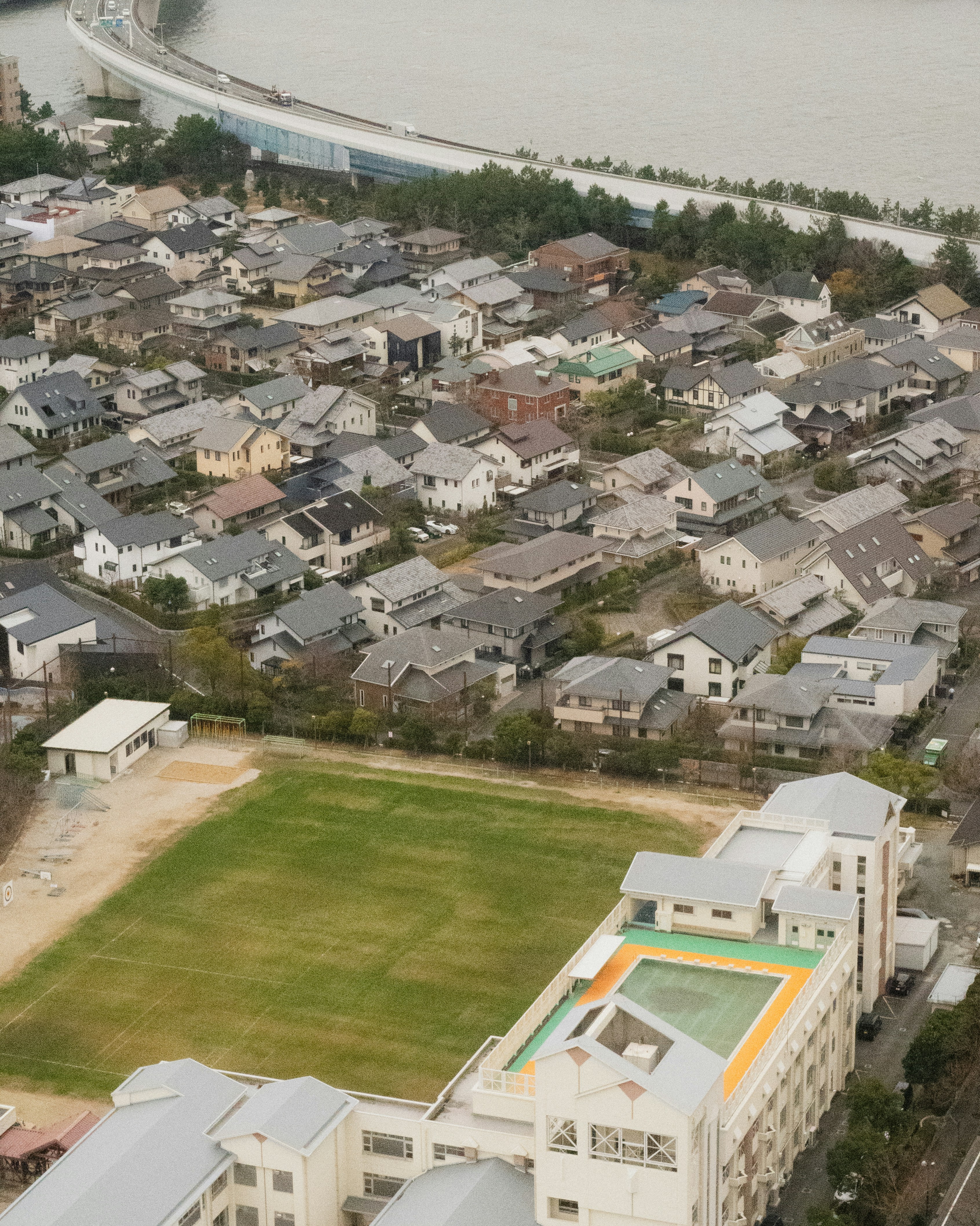 Rooftop Oasis Anchors a Densely Packed Suburban Mosaic