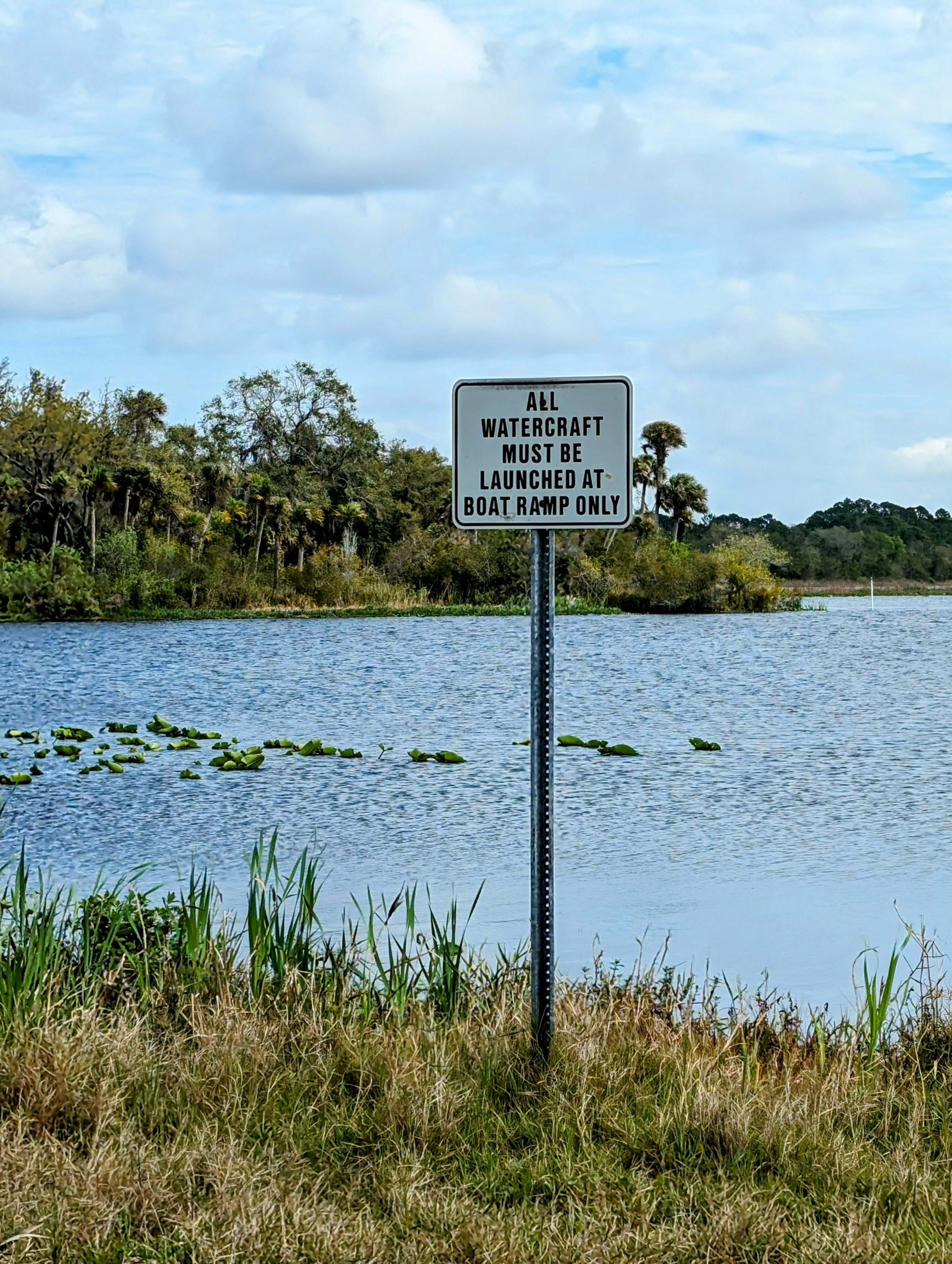 Boating Rules by a Lily-Padded Lake