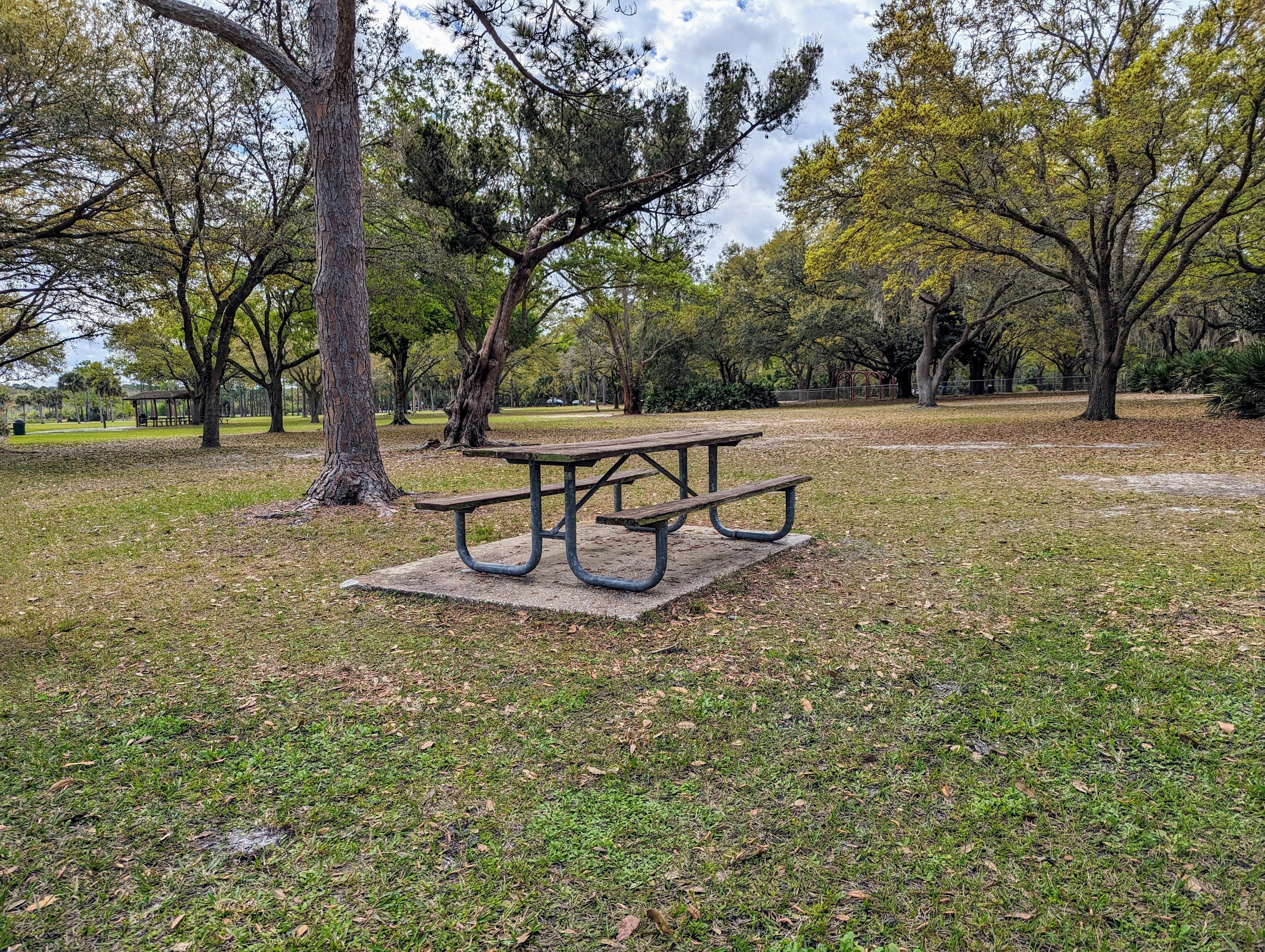 A picnic table in the middle of a park photo – Free Florida Image on ...