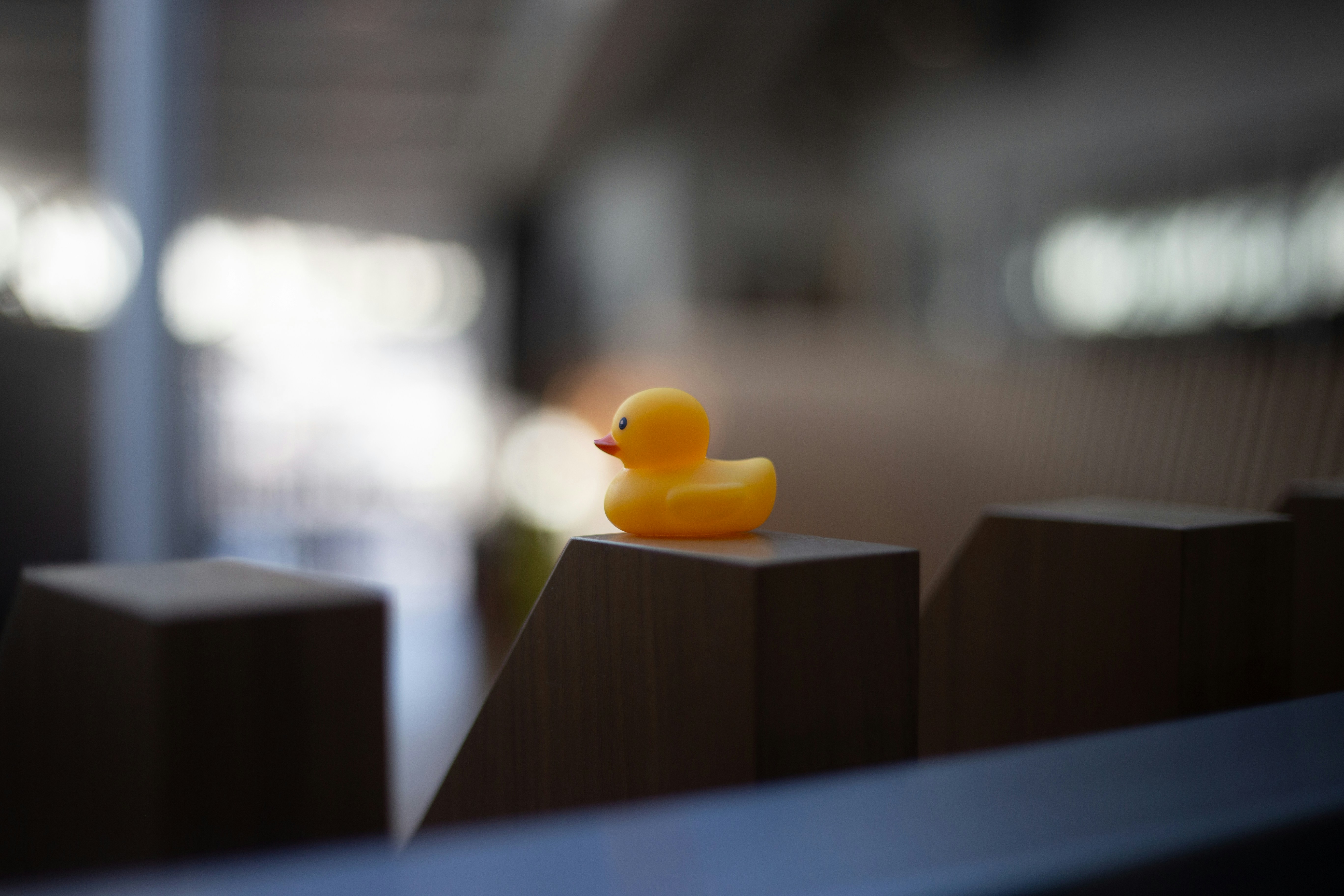 Solitary Rubber Duck on a Wooden Rail, Bathed in Soft Focus