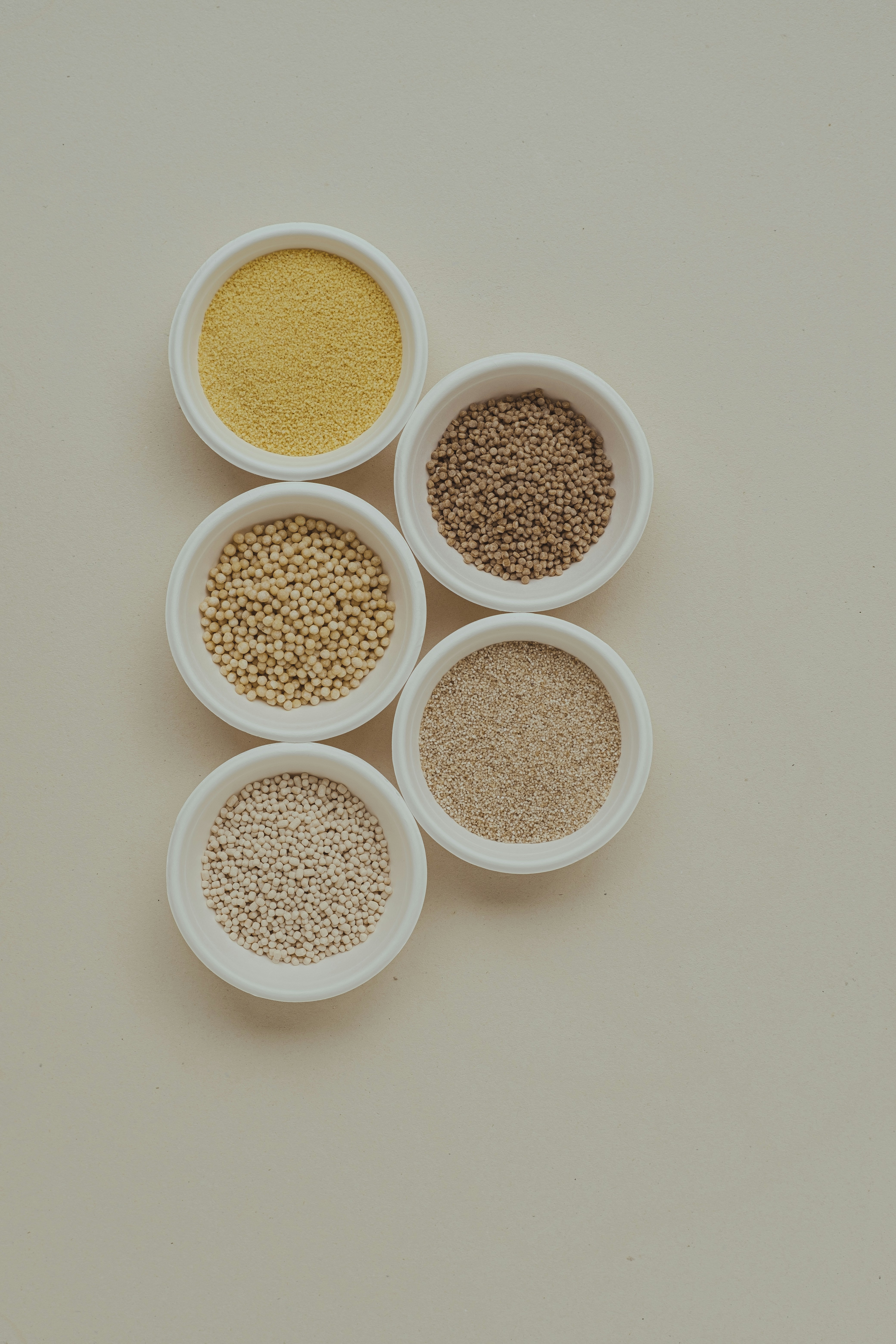 Cinq bols de différents types de graines photo – Photo Lelystad ...