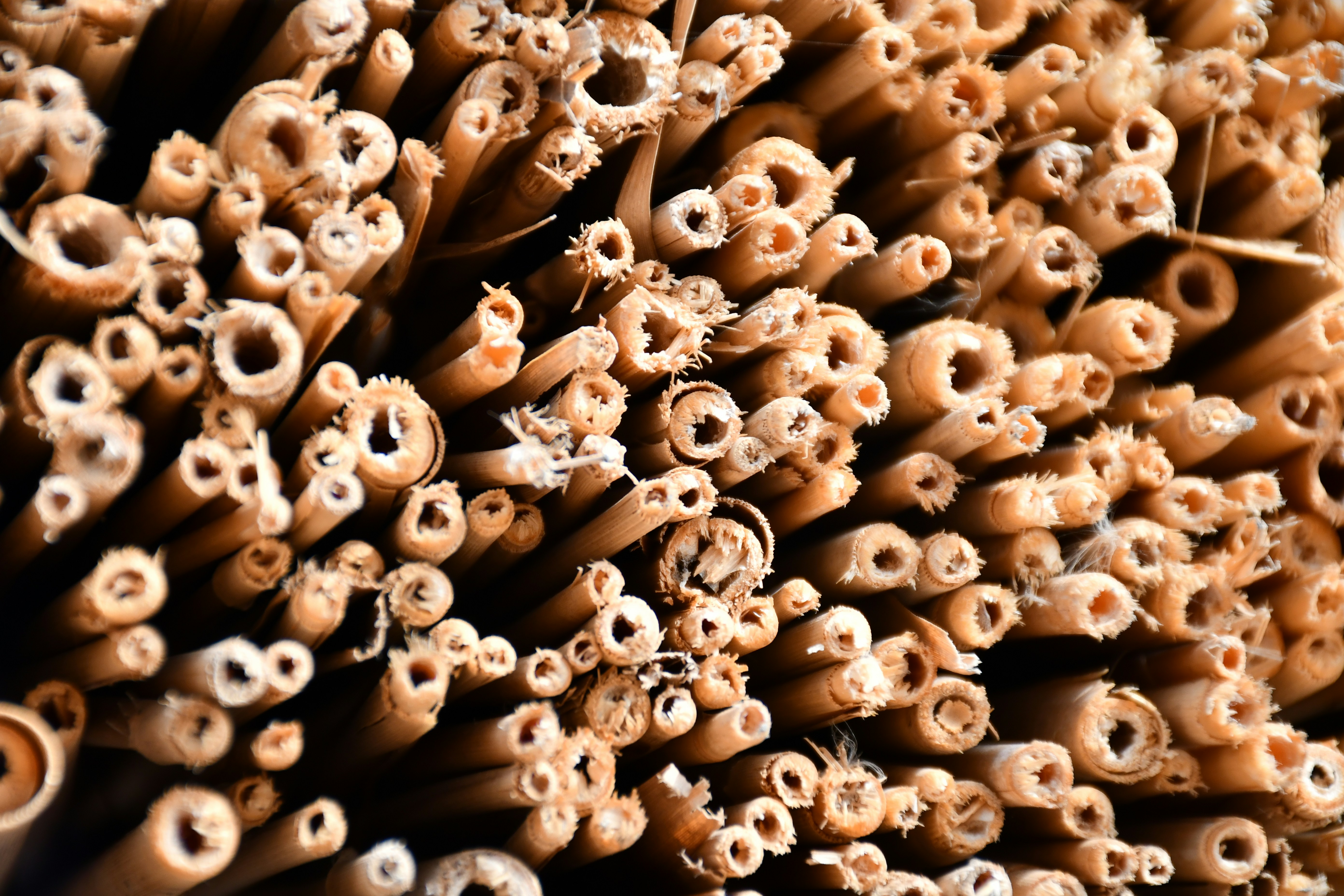 Dense Carved Pencils: A Macro World of Hollowed Cedar Tubes