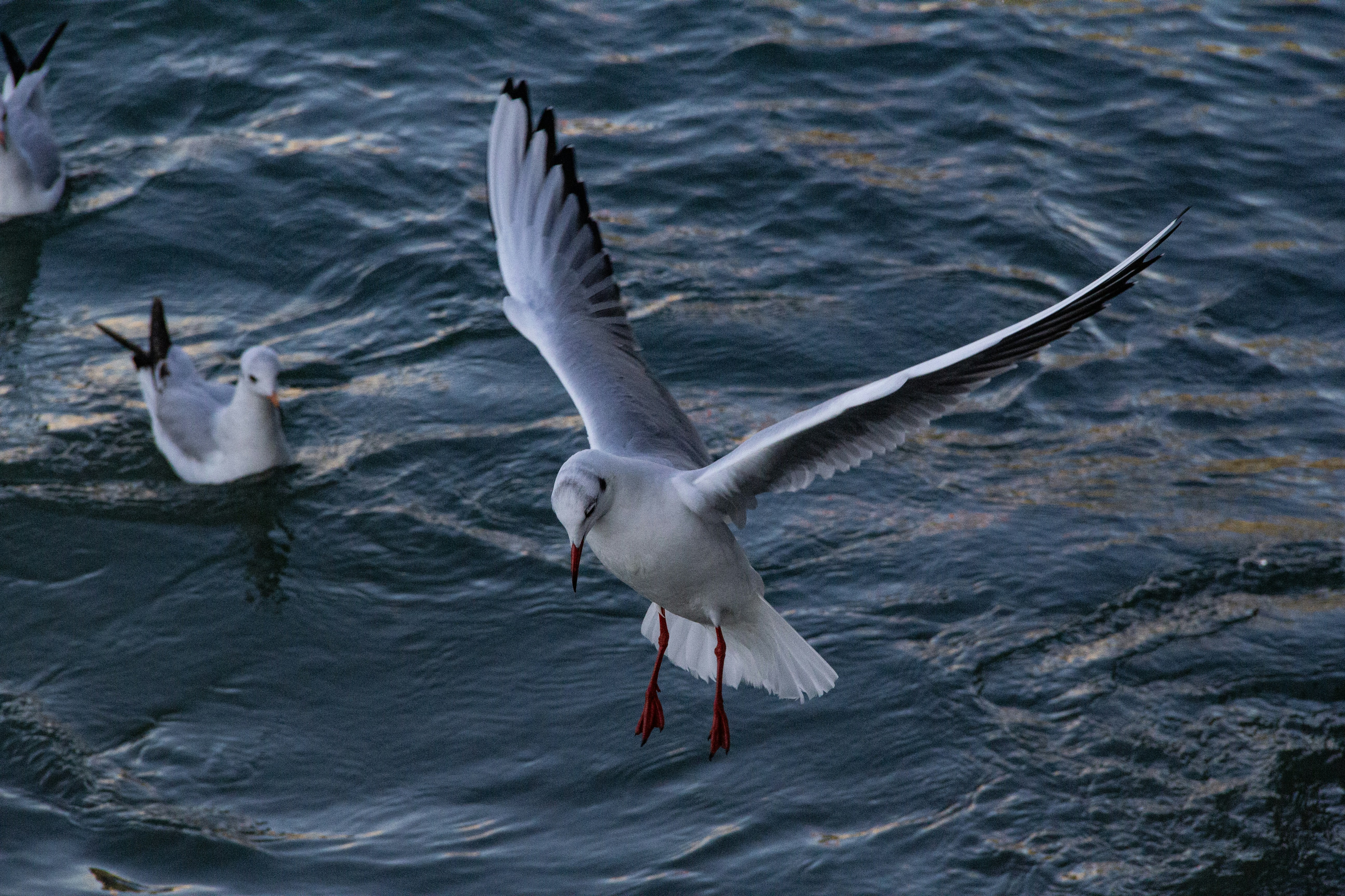 Photo by Stepan Konev with Canon EOS 600D