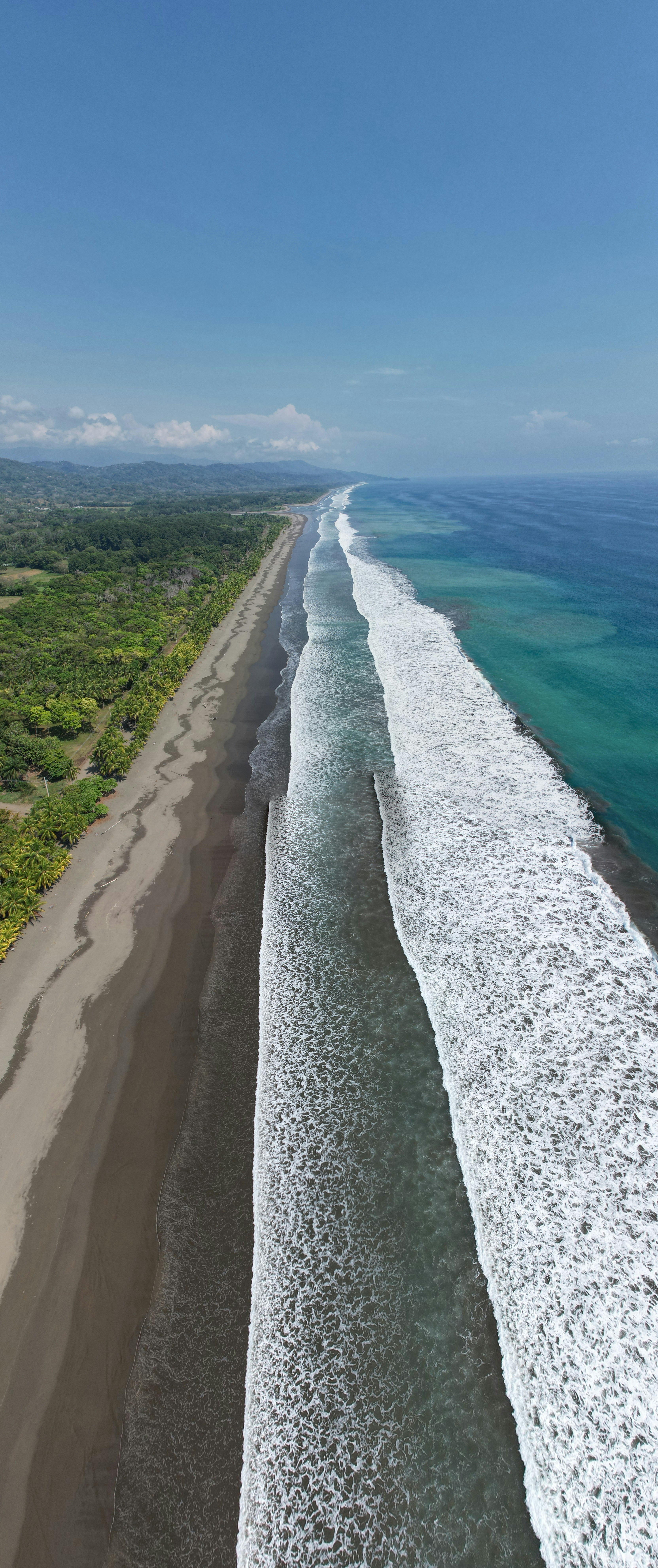 An aerial shot presents the stunning interplay between lush palm trees, the sandy beach, and the rhythmic dance of the ocean waves. The natural border where the water meets land offers a glimpse of a tranquil and untouched coastal paradise.
