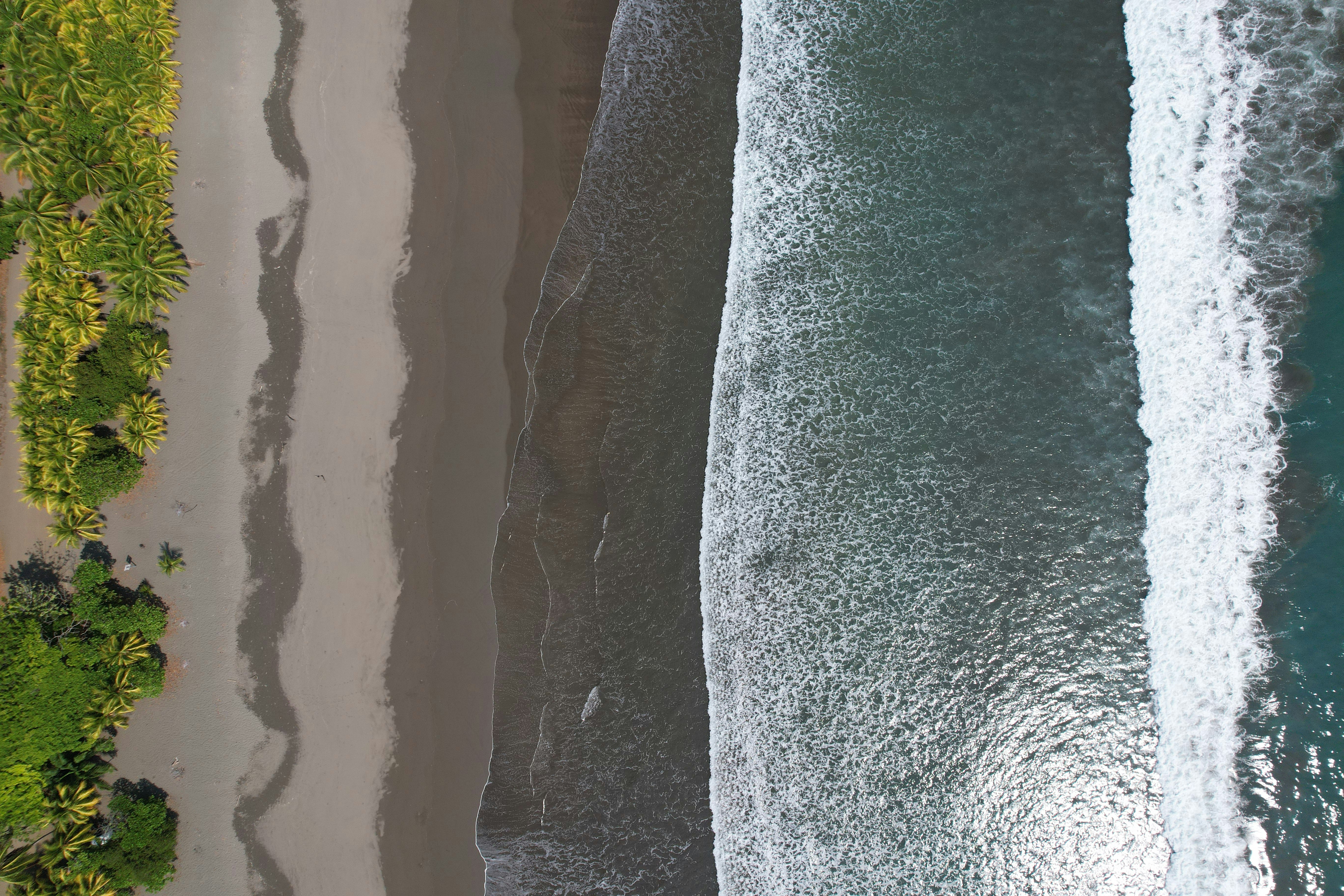 An aerial shot presents the stunning interplay between lush palm trees, the sandy beach, and the rhythmic dance of the ocean waves. The natural border where the water meets land offers a glimpse of a tranquil and untouched coastal paradise.