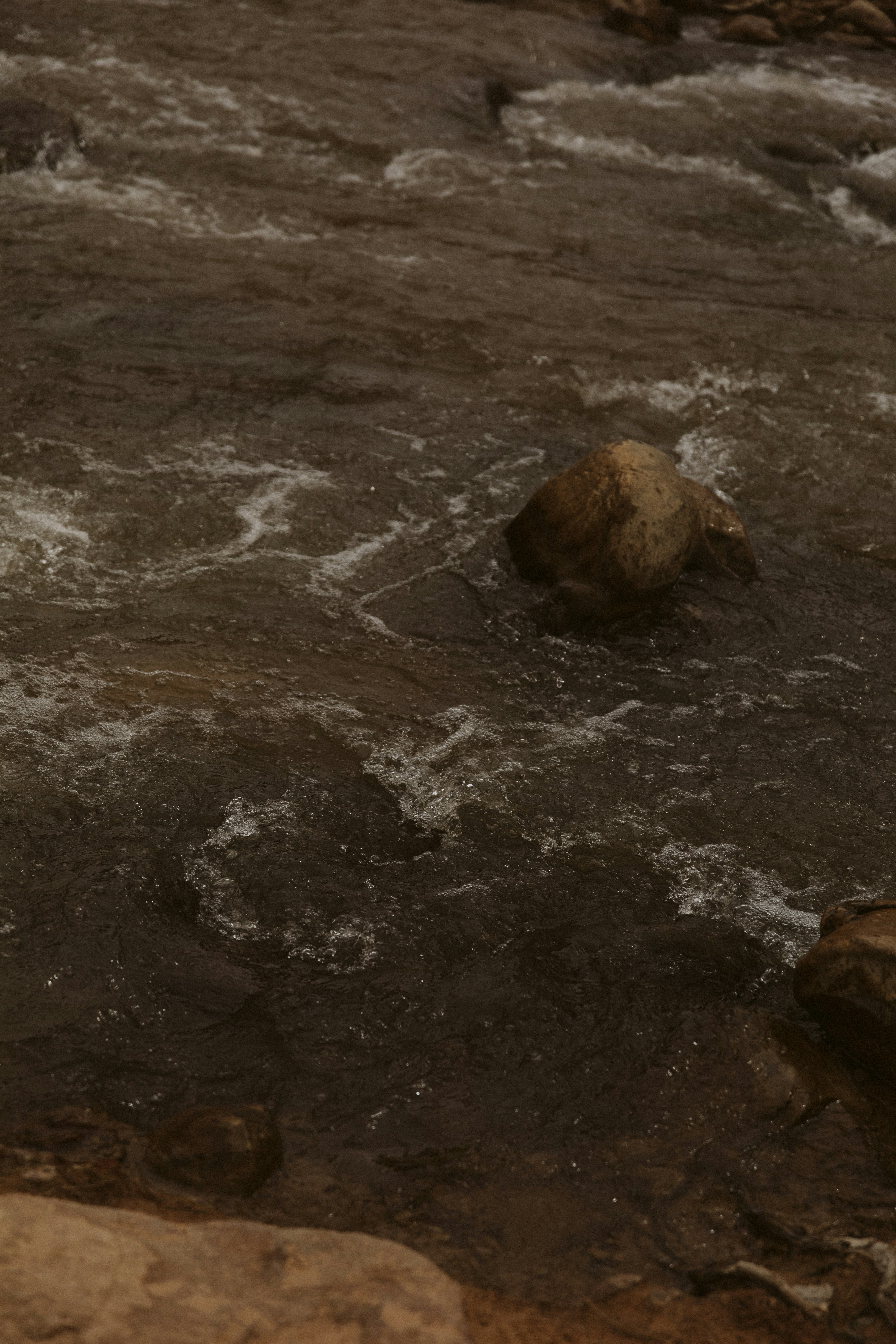 Lone Rock Anchored by Mud-Brown Currents