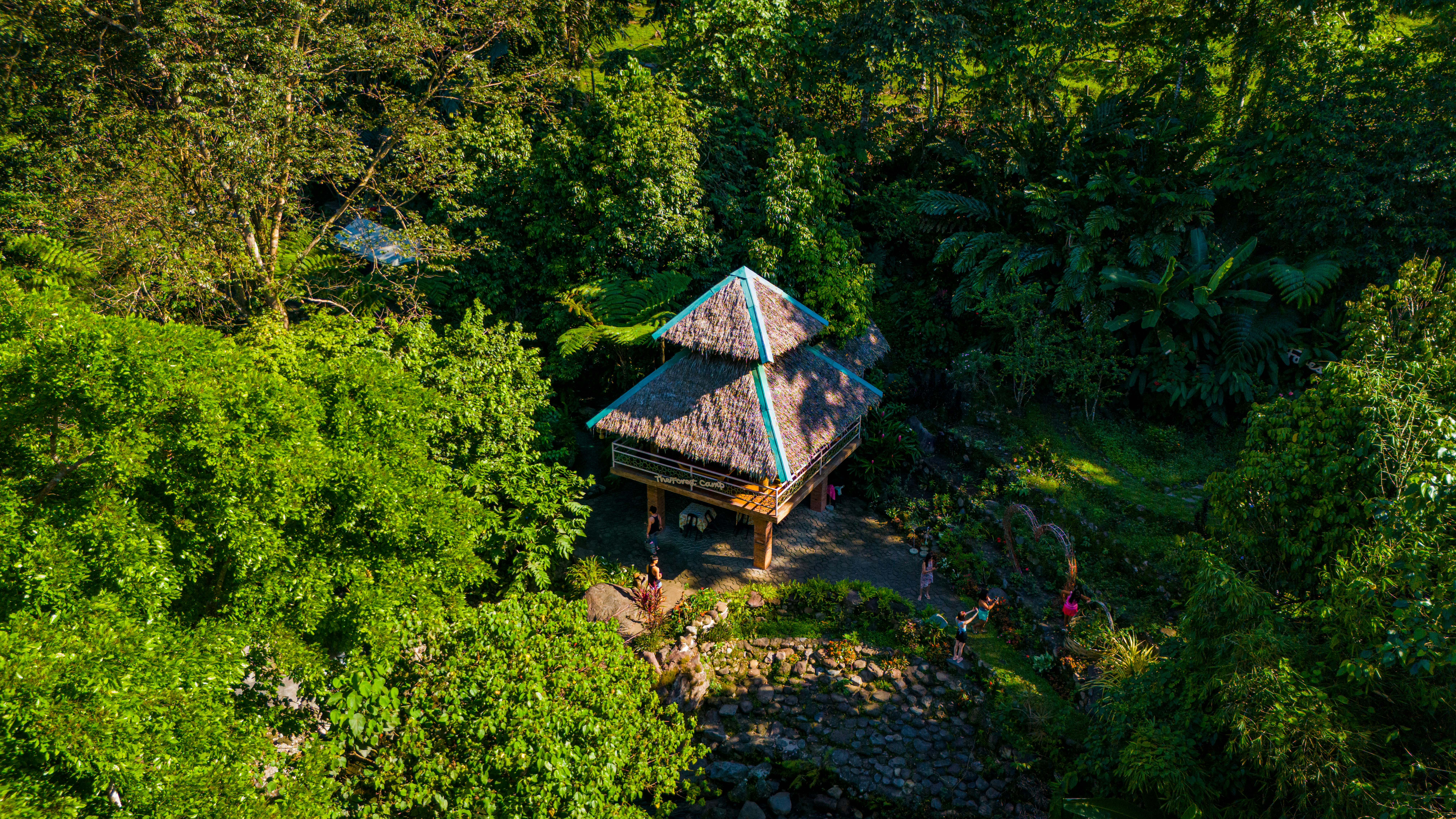 A small hut in the middle of a forest photo – Free Cebu Image on Unsplash