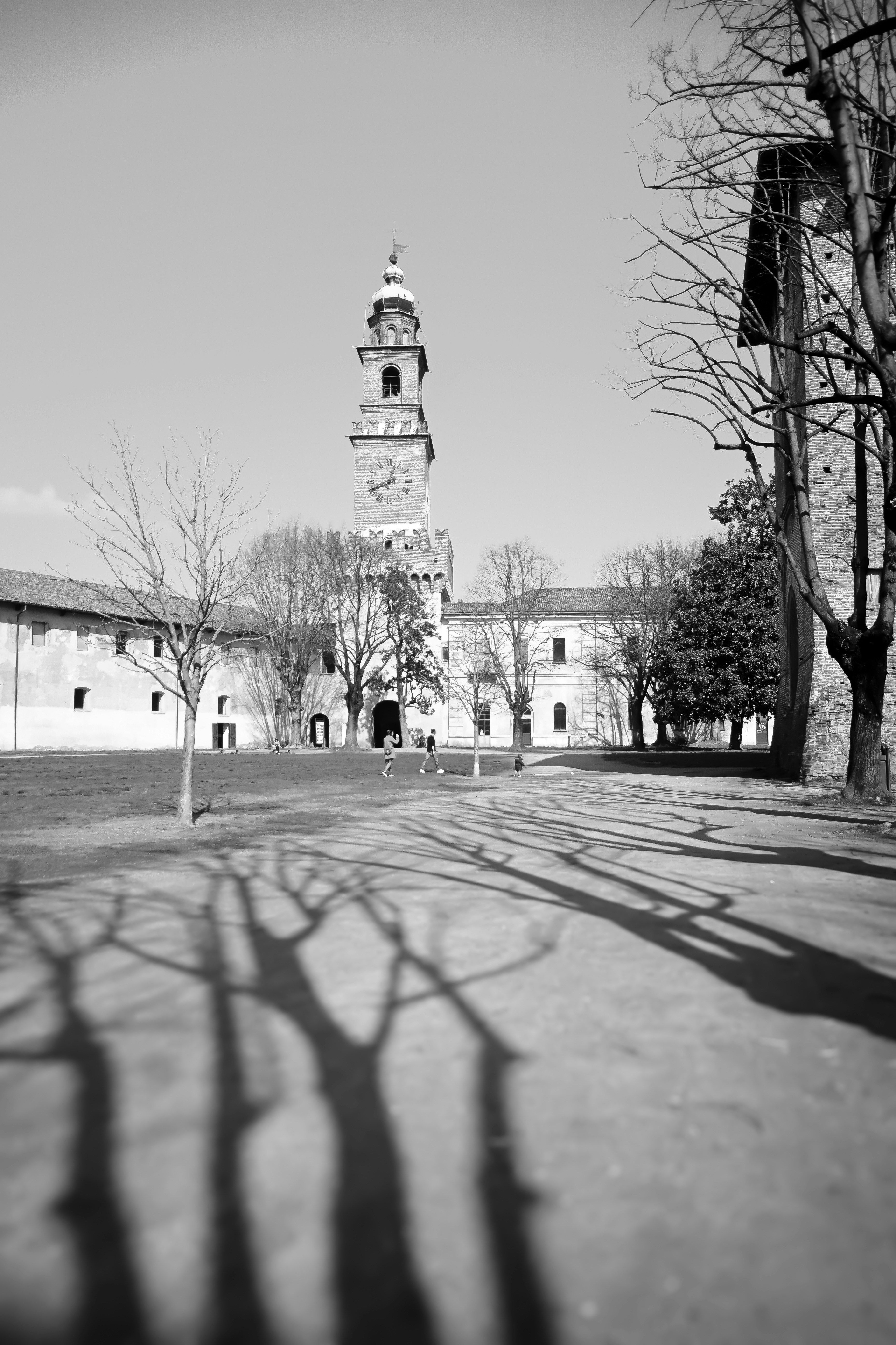 Shadow Dance on Vigevano's Historic Grounds