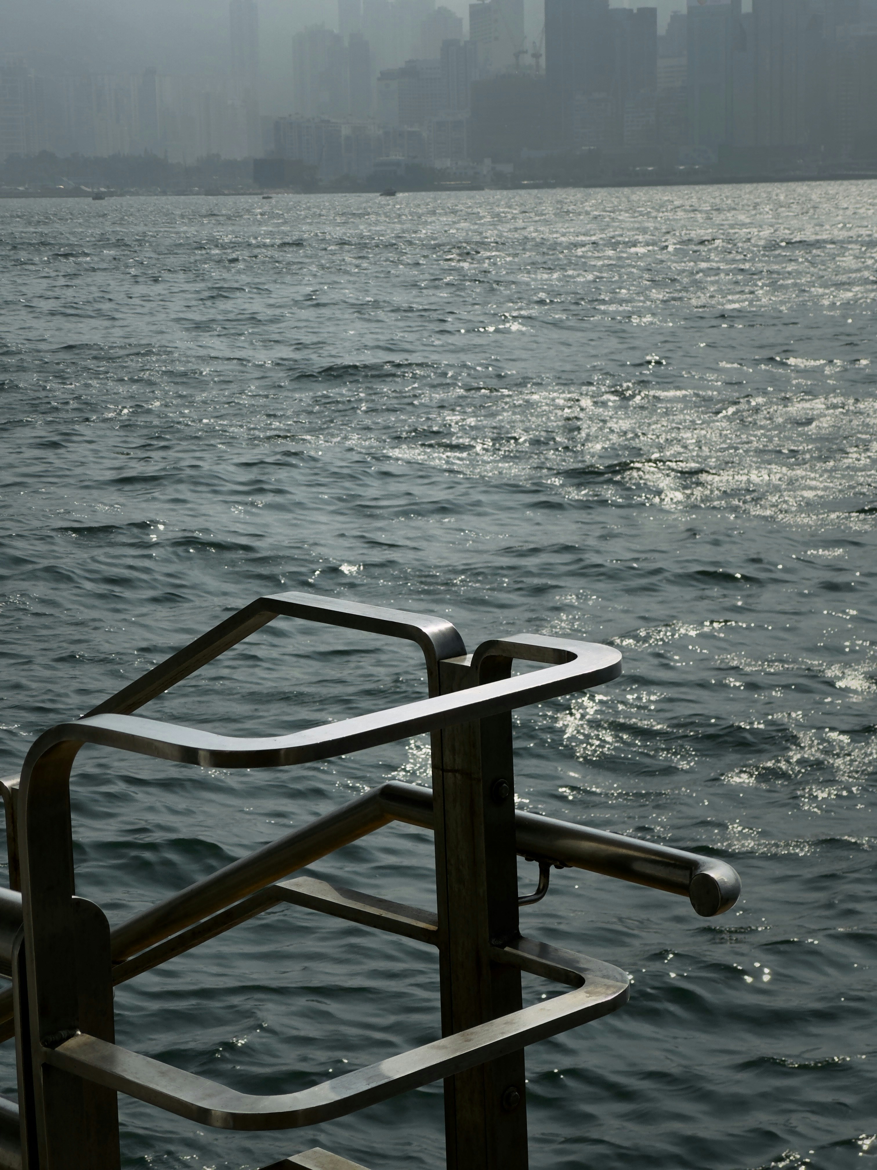 Railing Adelie over the Glimmering Harbor