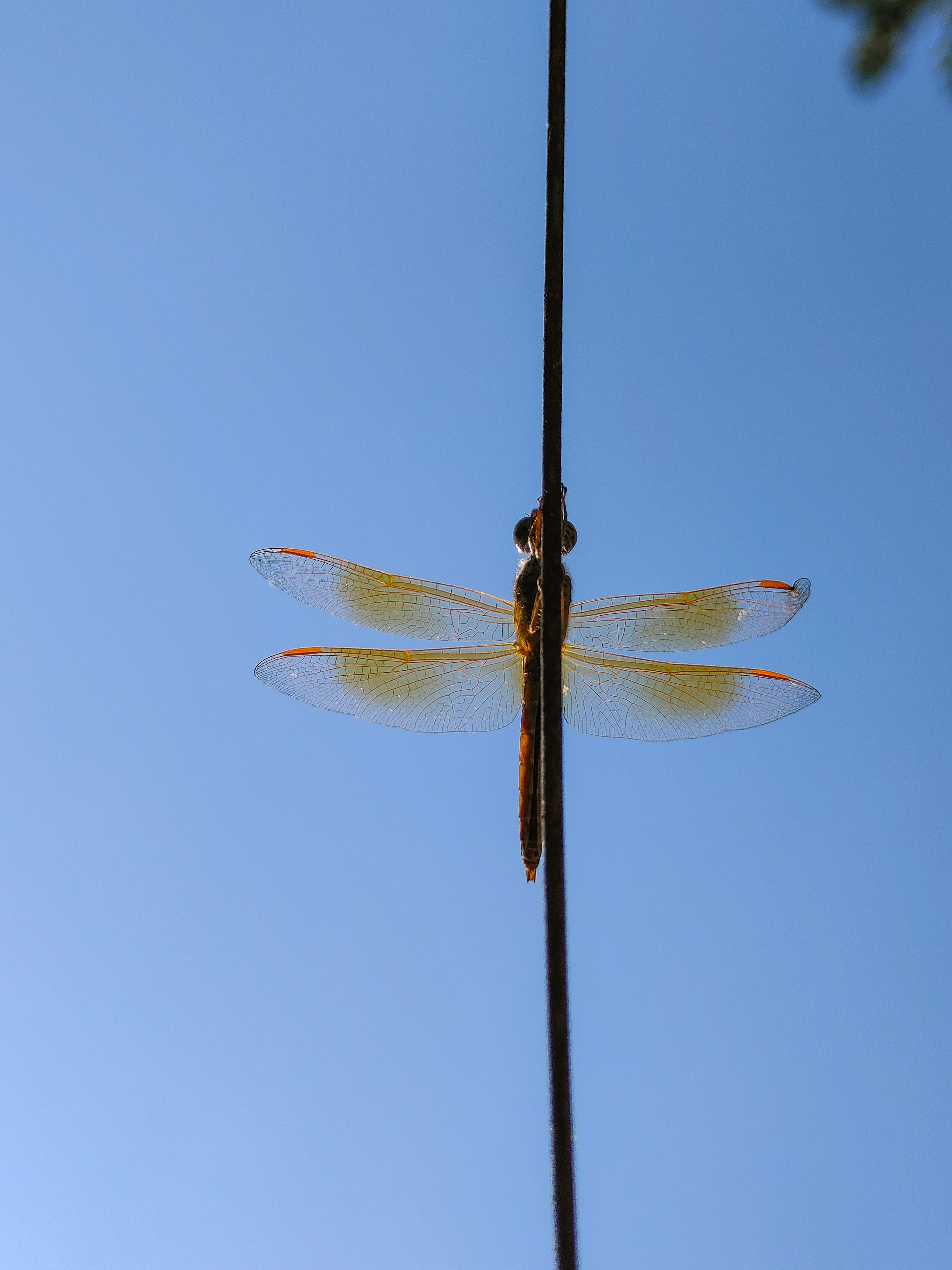 Photo by Wadud Emon with LG V60 ThinQ